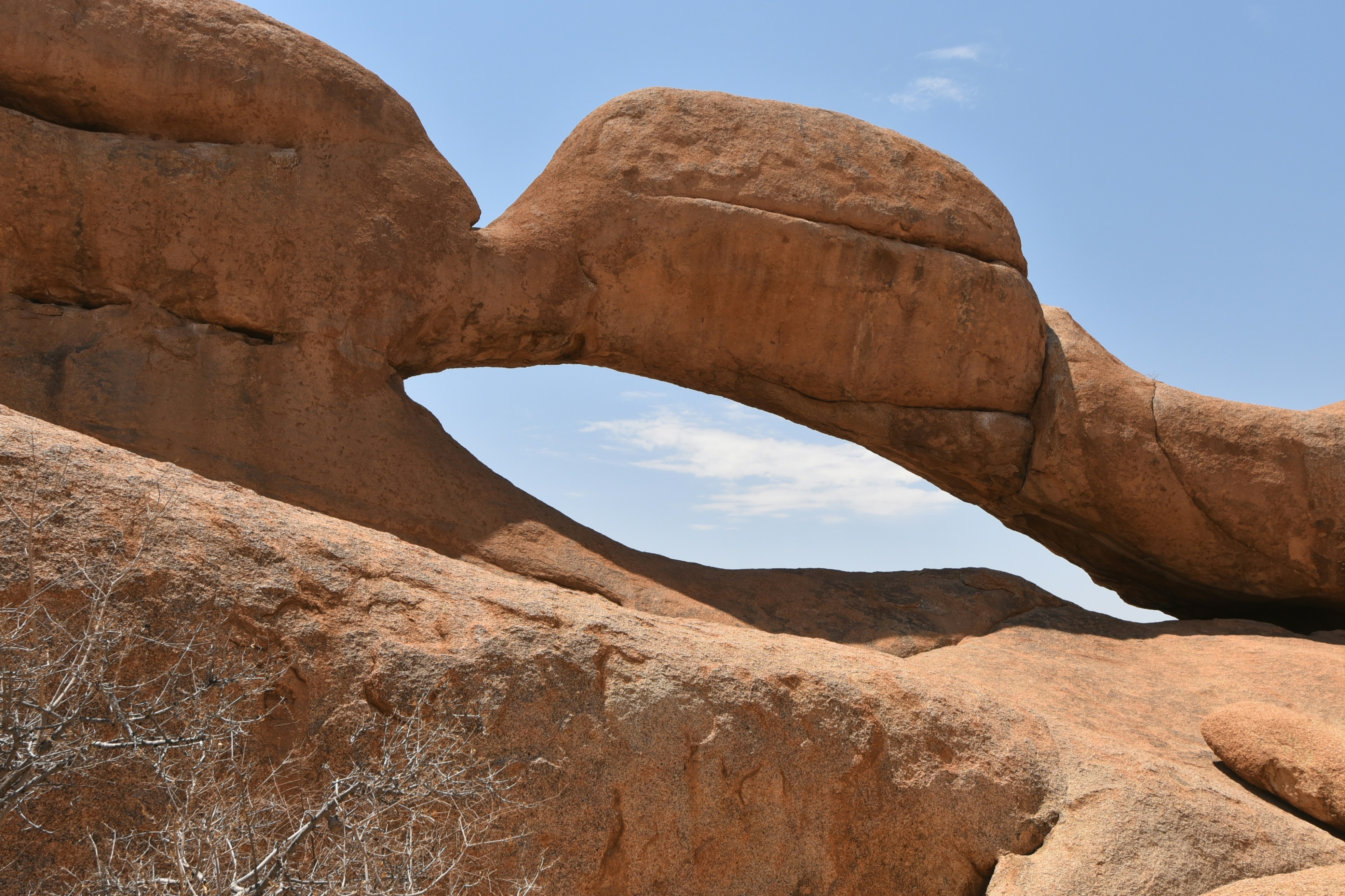 Nature's Sculpted Embrace