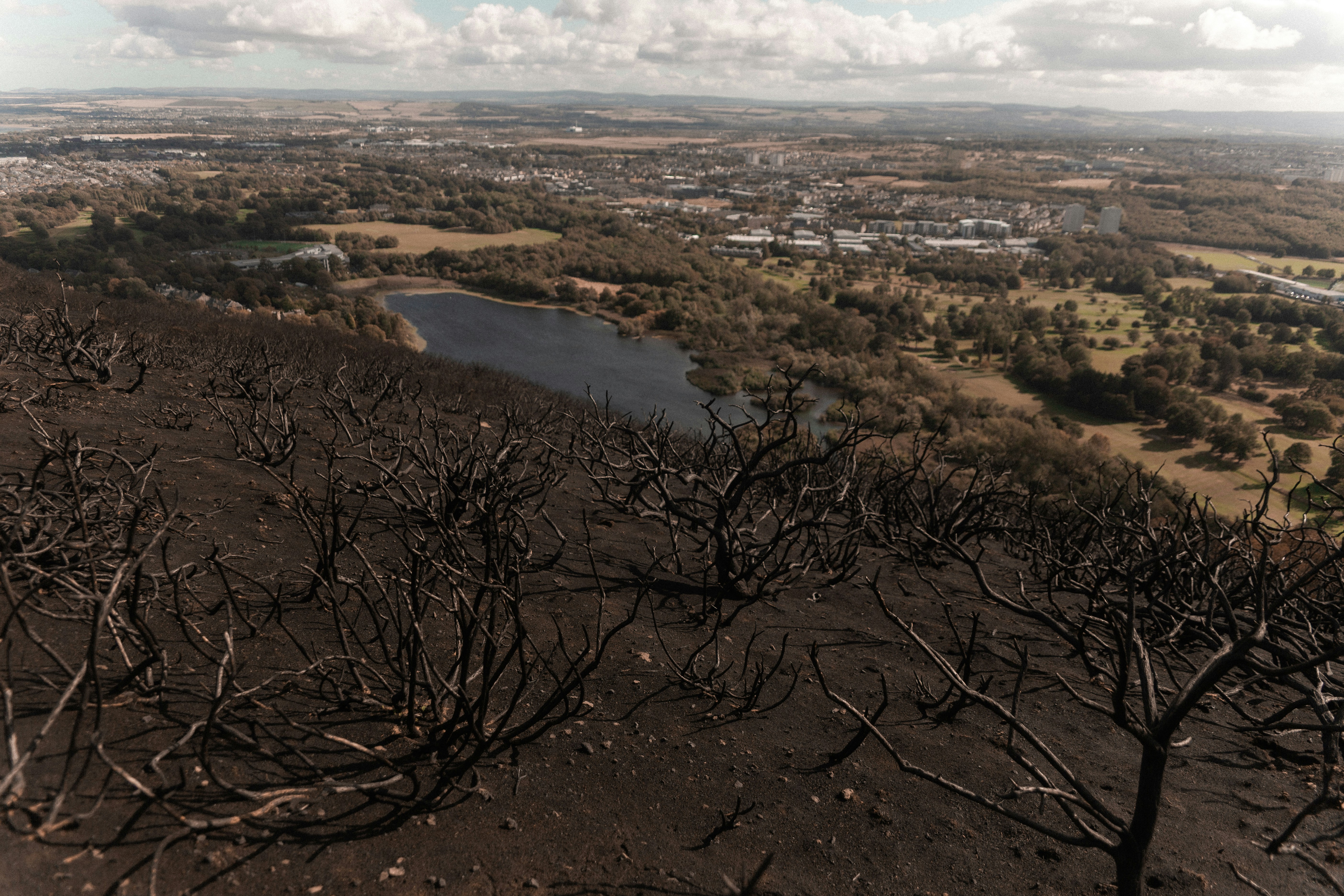 Burned landscape with trees and a distant town
