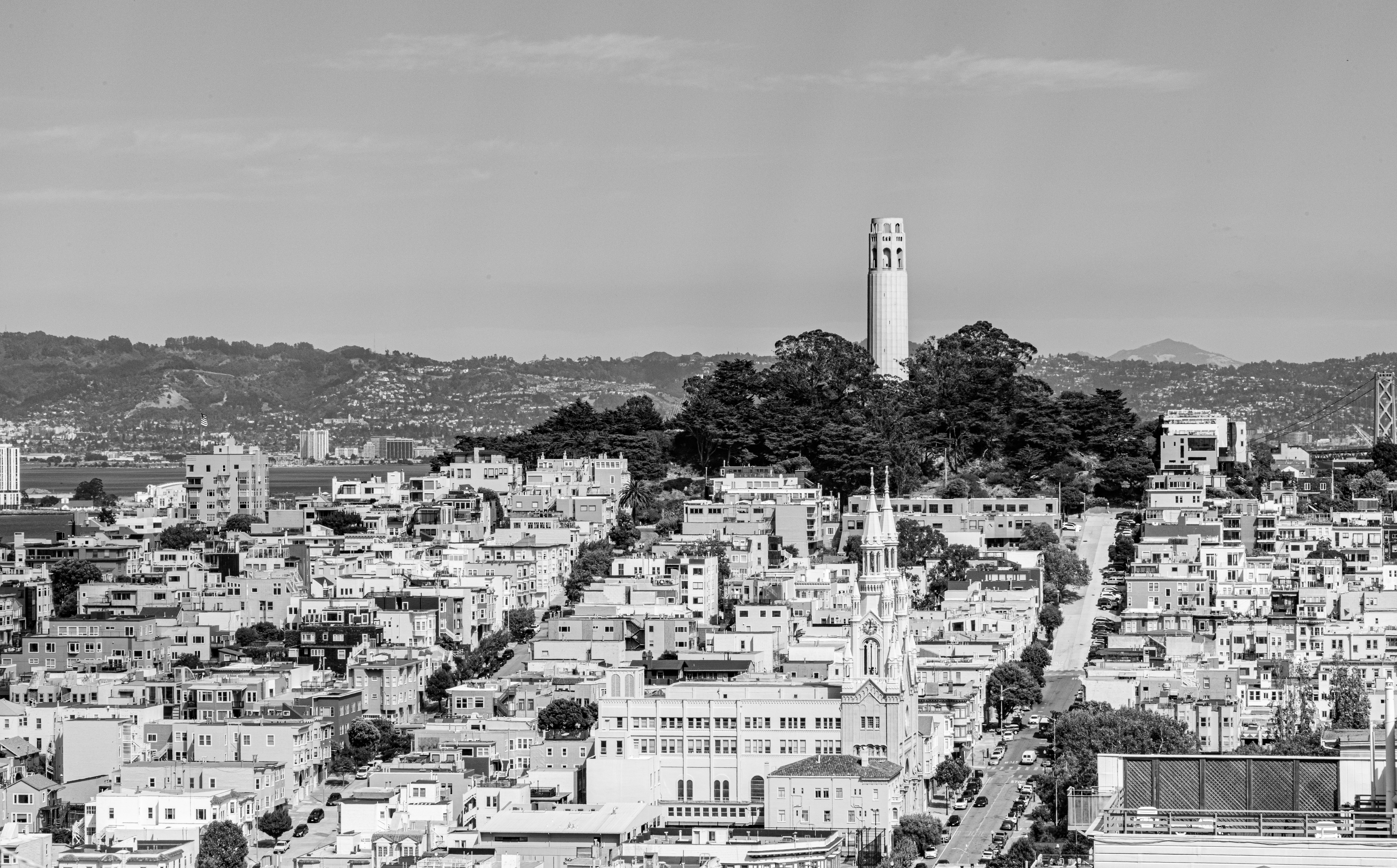 Coit tower overlooks a dense cityscape with rolling hills. photo – Free ...