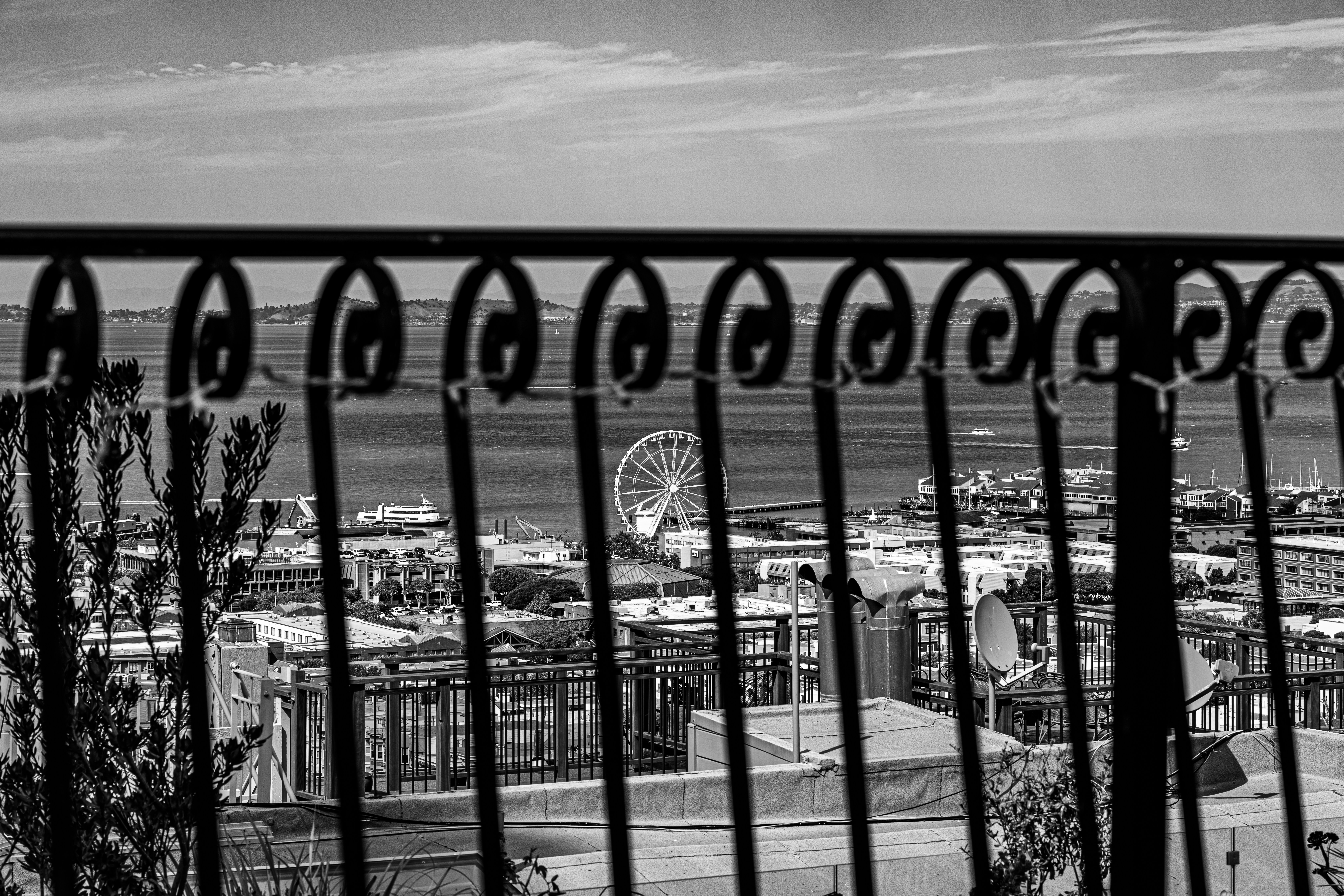 Whispers of the Waterfront