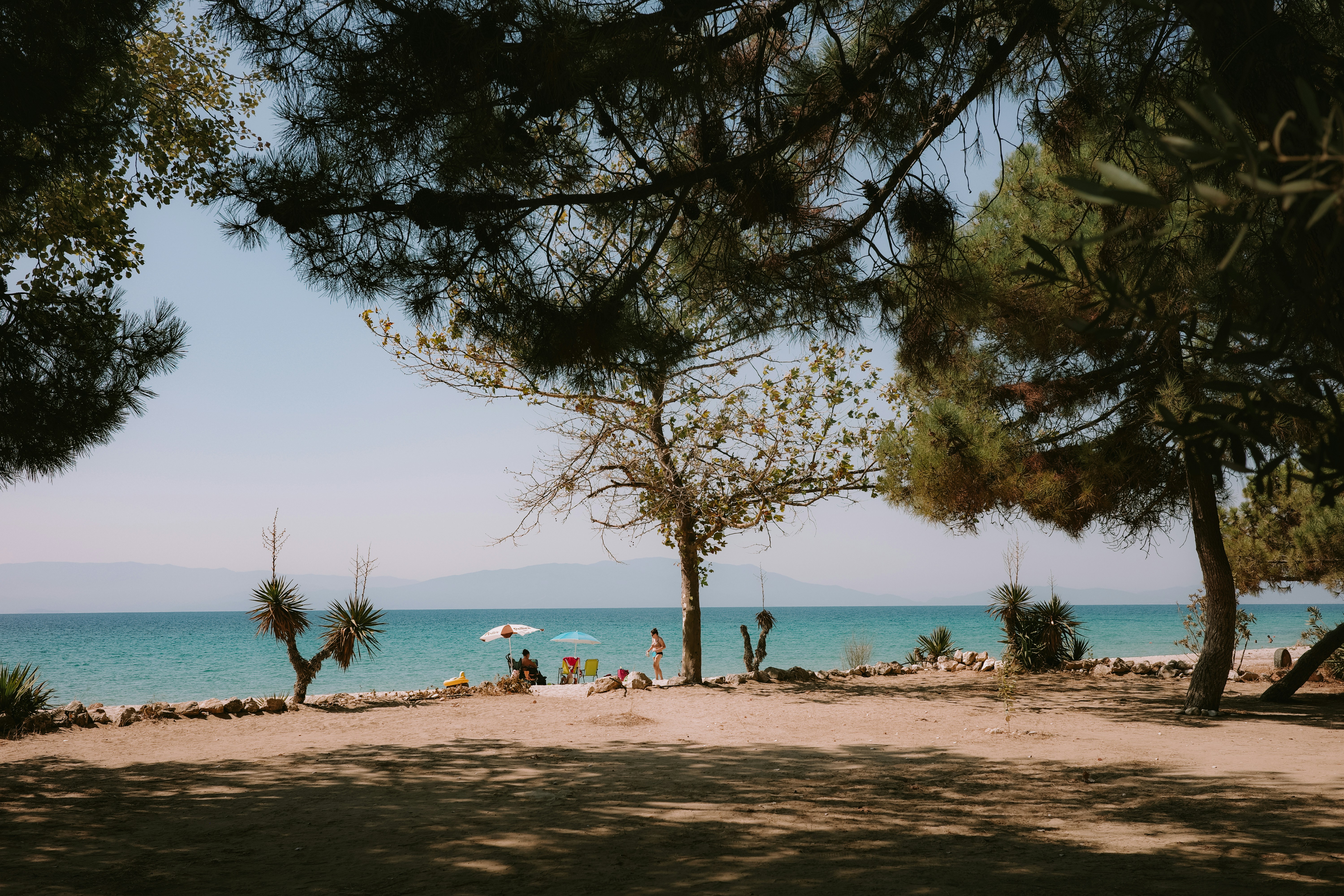 Tranquil beach scene featuring sunbathers under an umbrella, framed by lush trees and a clear blue sea.