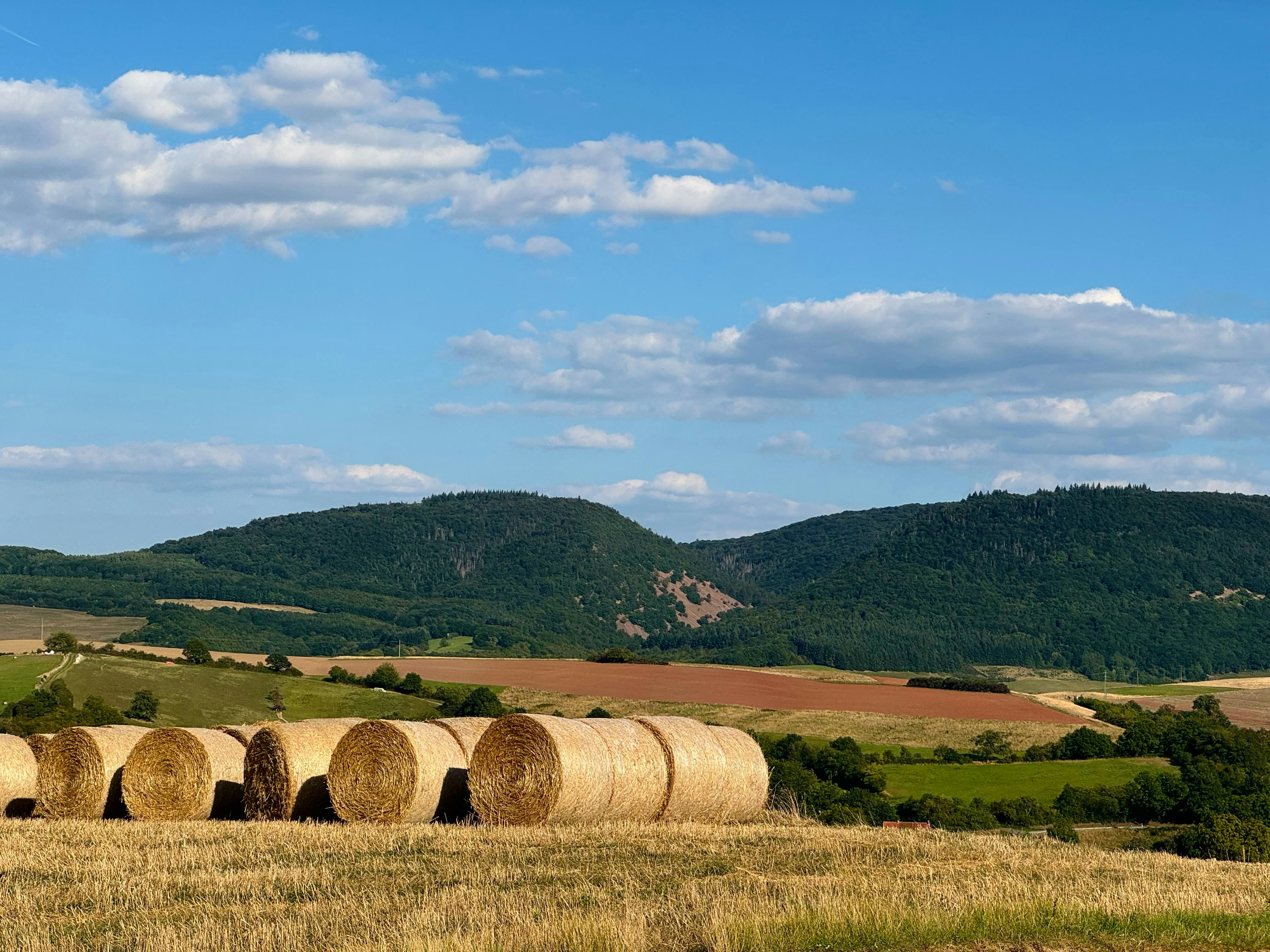 Golden hay bales scattered across a sunlit field, framed by rolling hills and a vibrant blue sky with fluffy clouds.