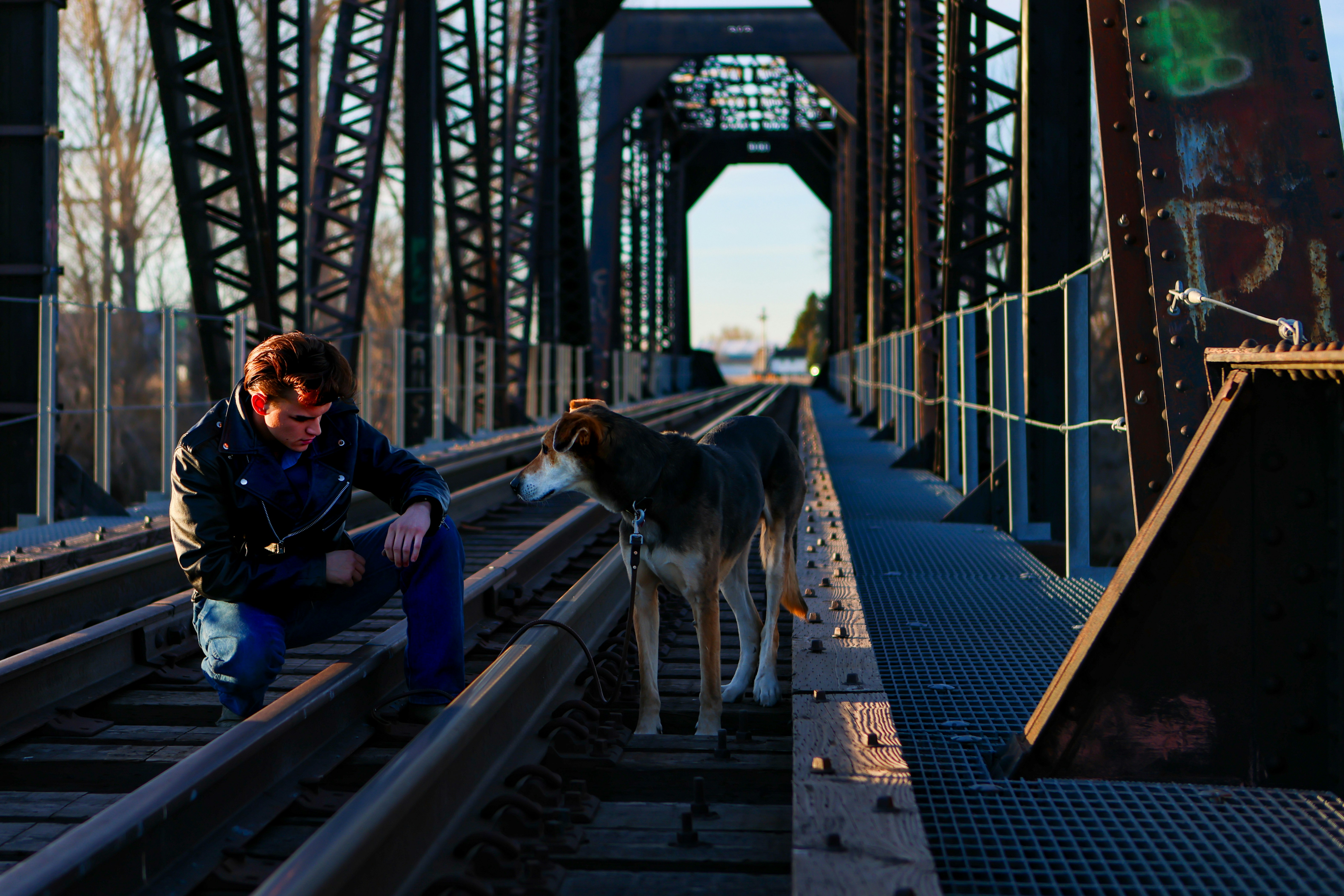 Quiet Convergence on the Rails: A Man and Dog Under a Sunlit Bridge