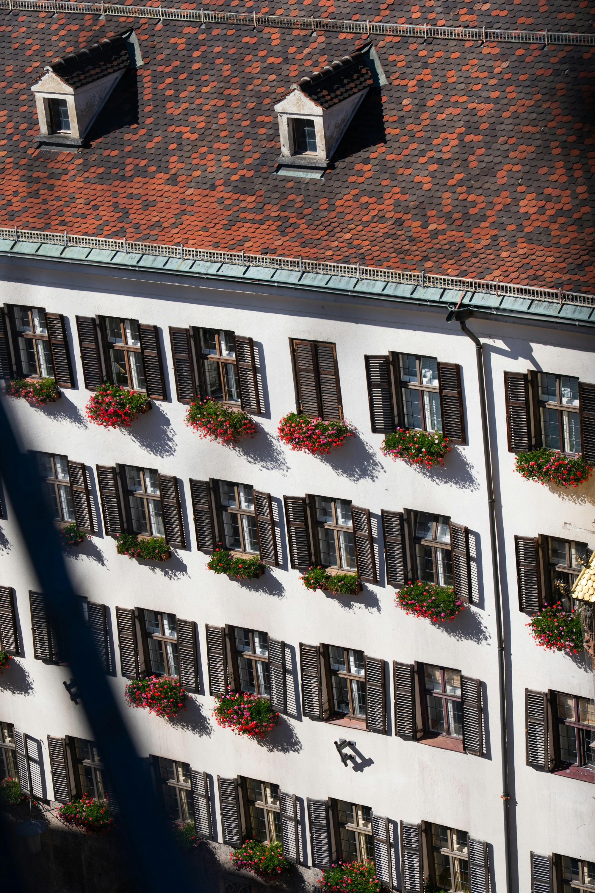 Charming Facade Adorned with Blooms