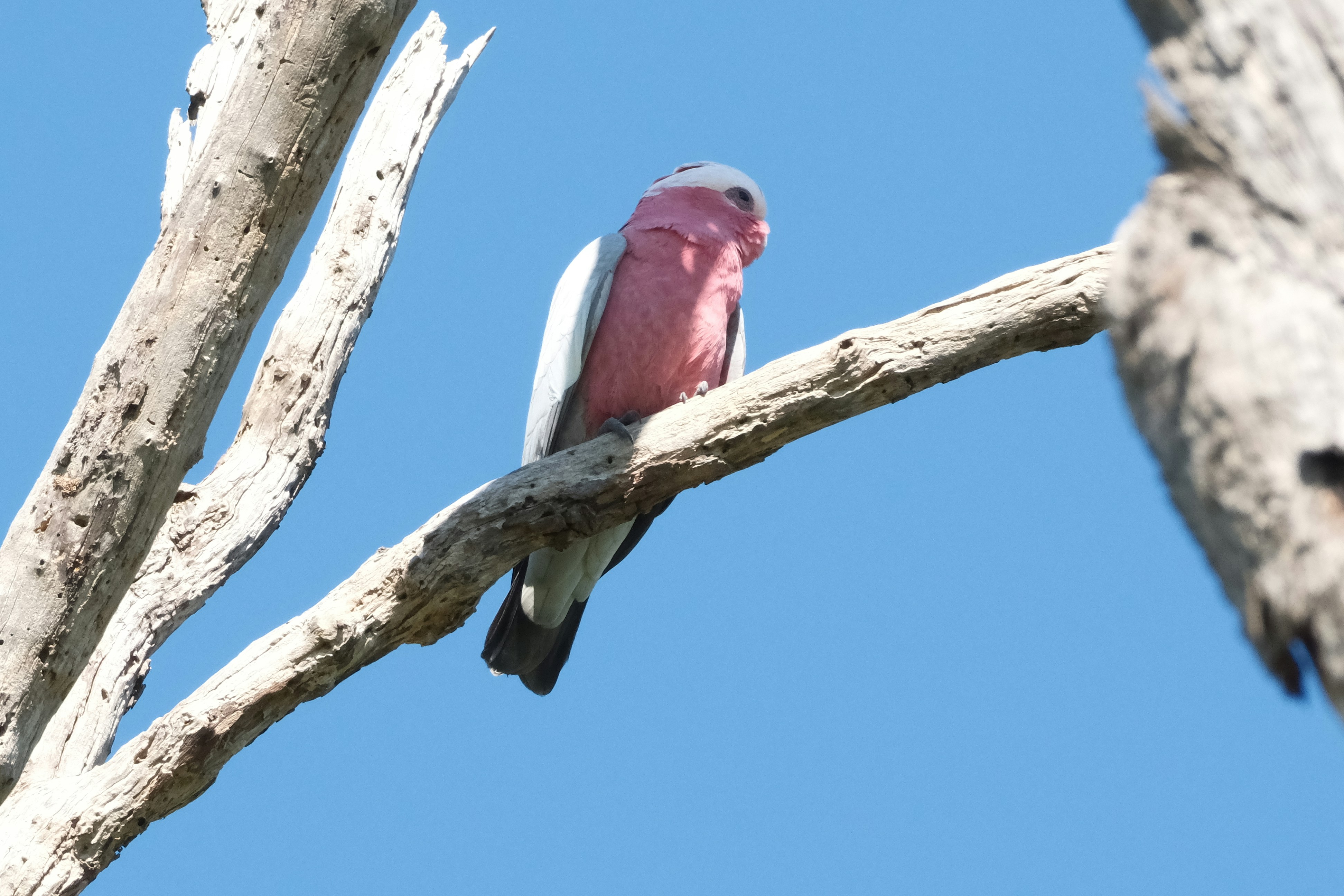 Photo by Walter Coppola with Fujifilm X-H2