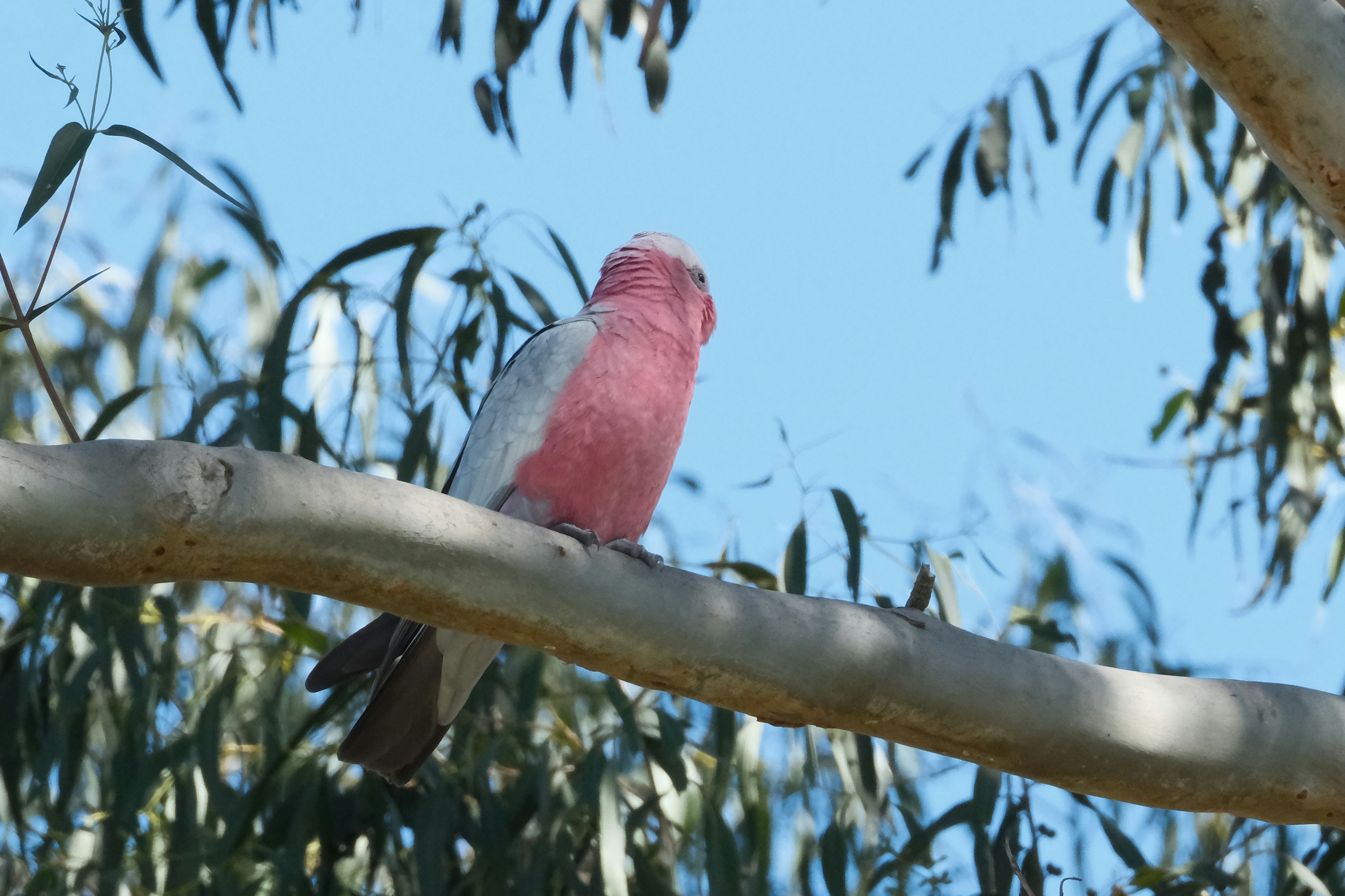 Photo by Walter Coppola with Fujifilm X-H2