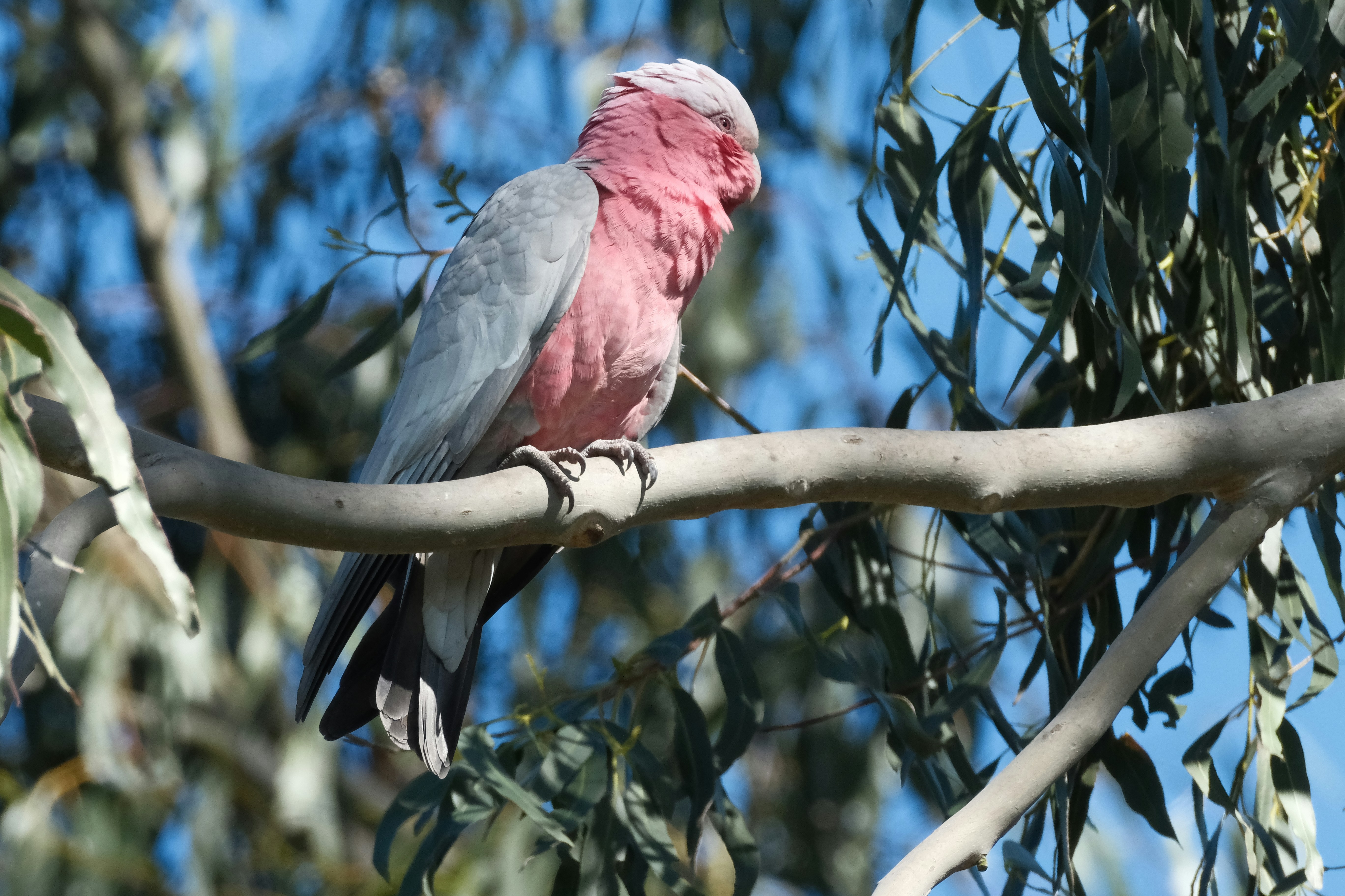 Photo by Walter Coppola with Fujifilm X-H2