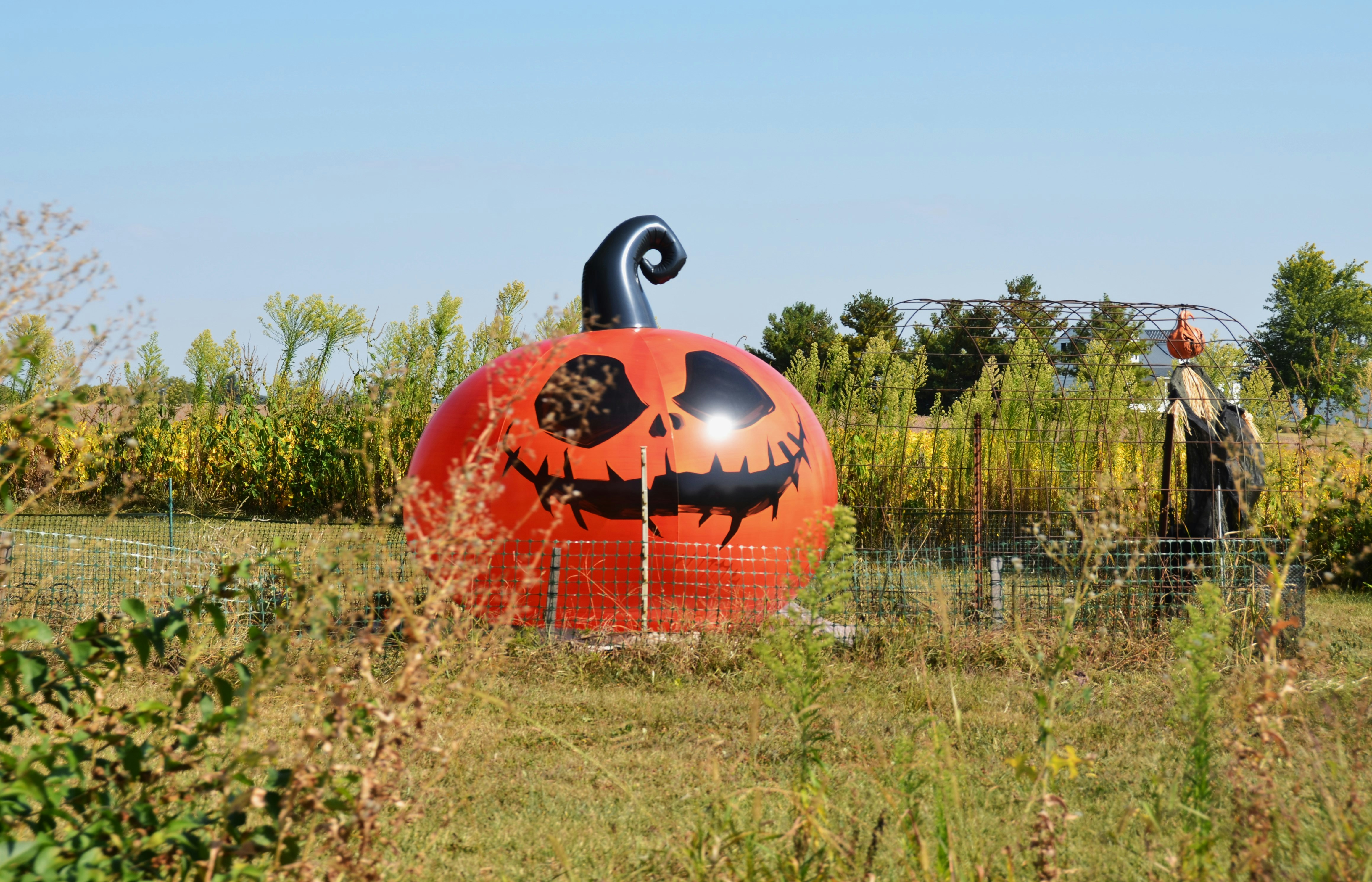 Harvest Moon's Grinning Guardian