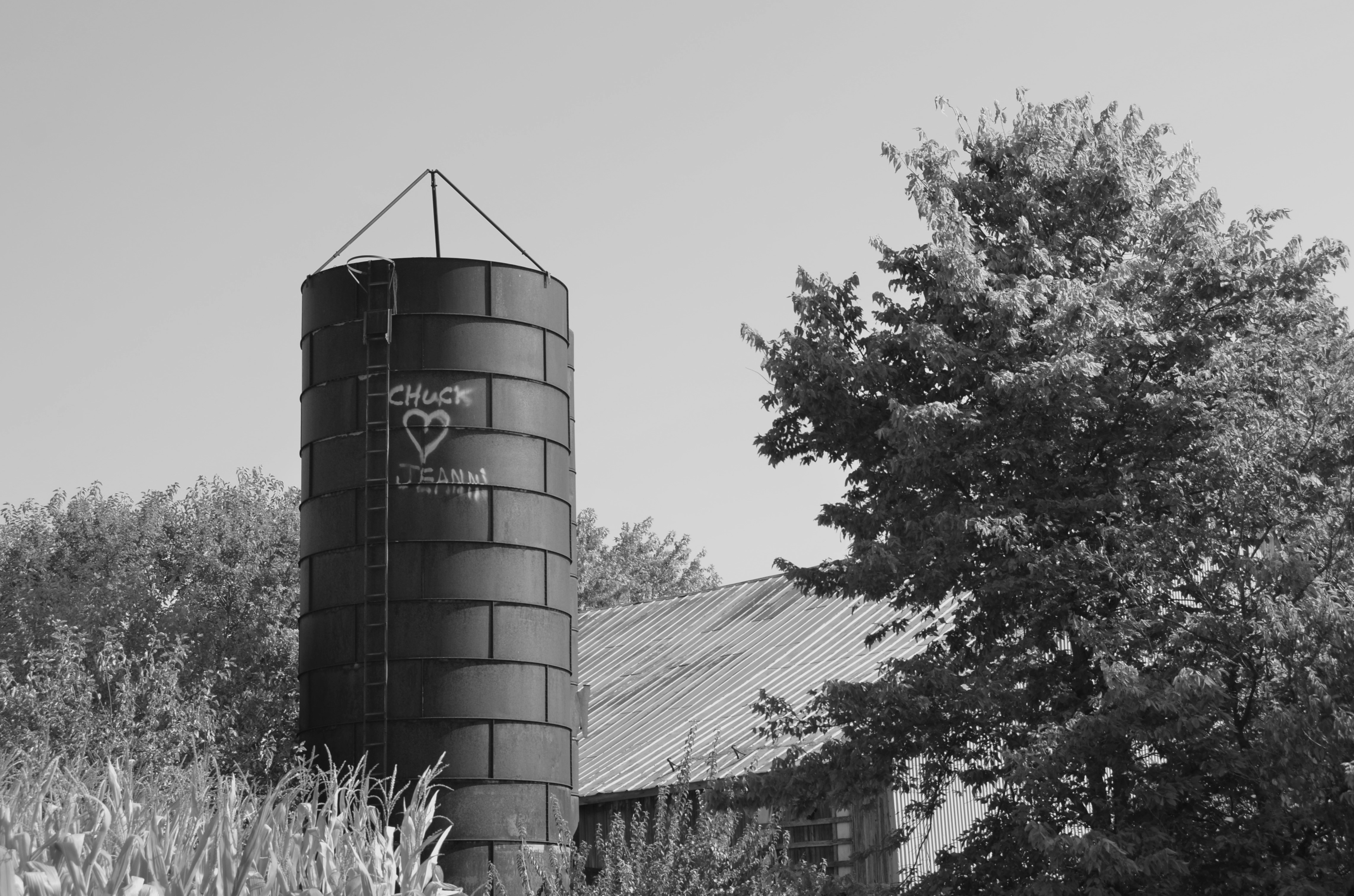 Rustic Tribute: A Silhouette of Love