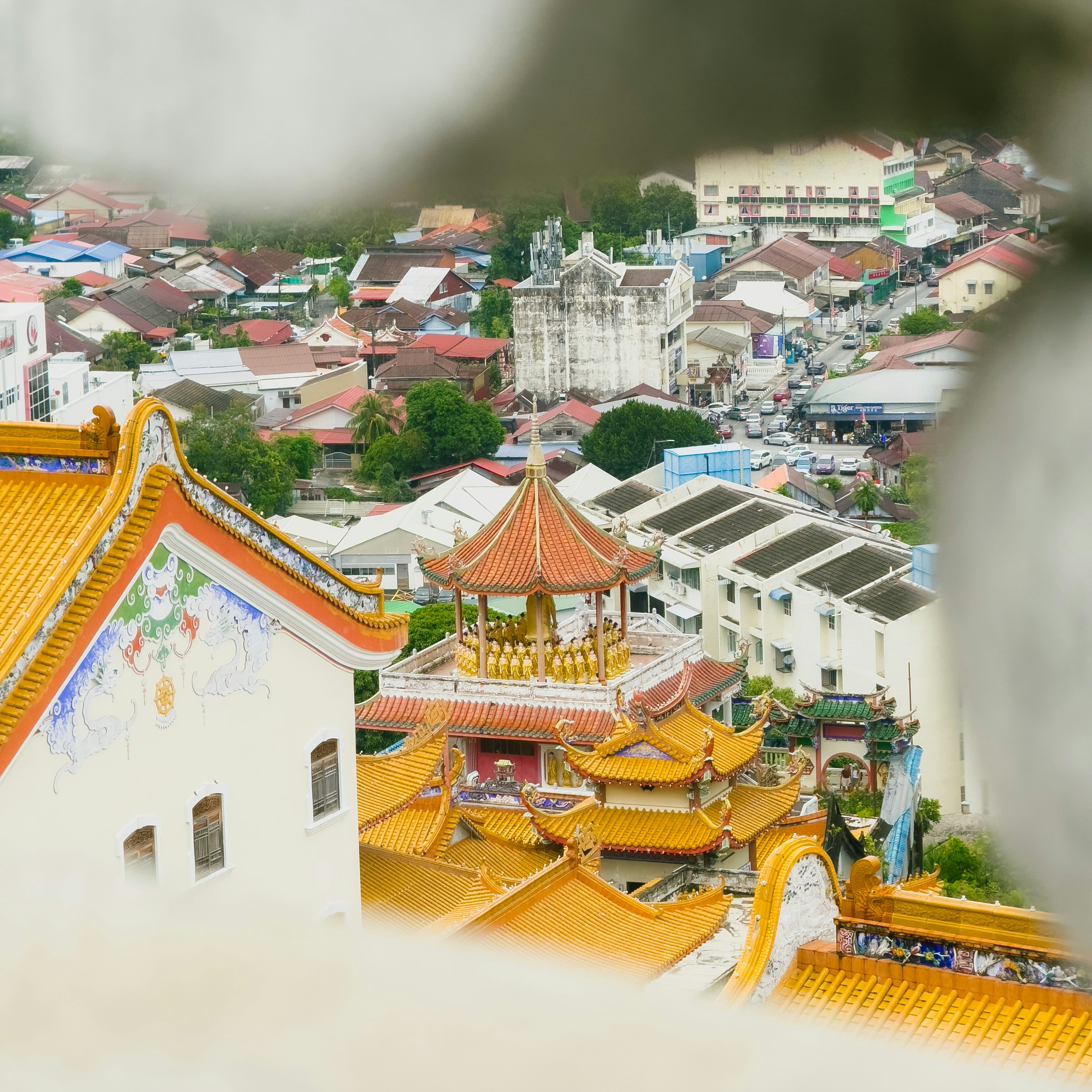 A Tapestry of Tradition: Rooftops of Cultural Heritage