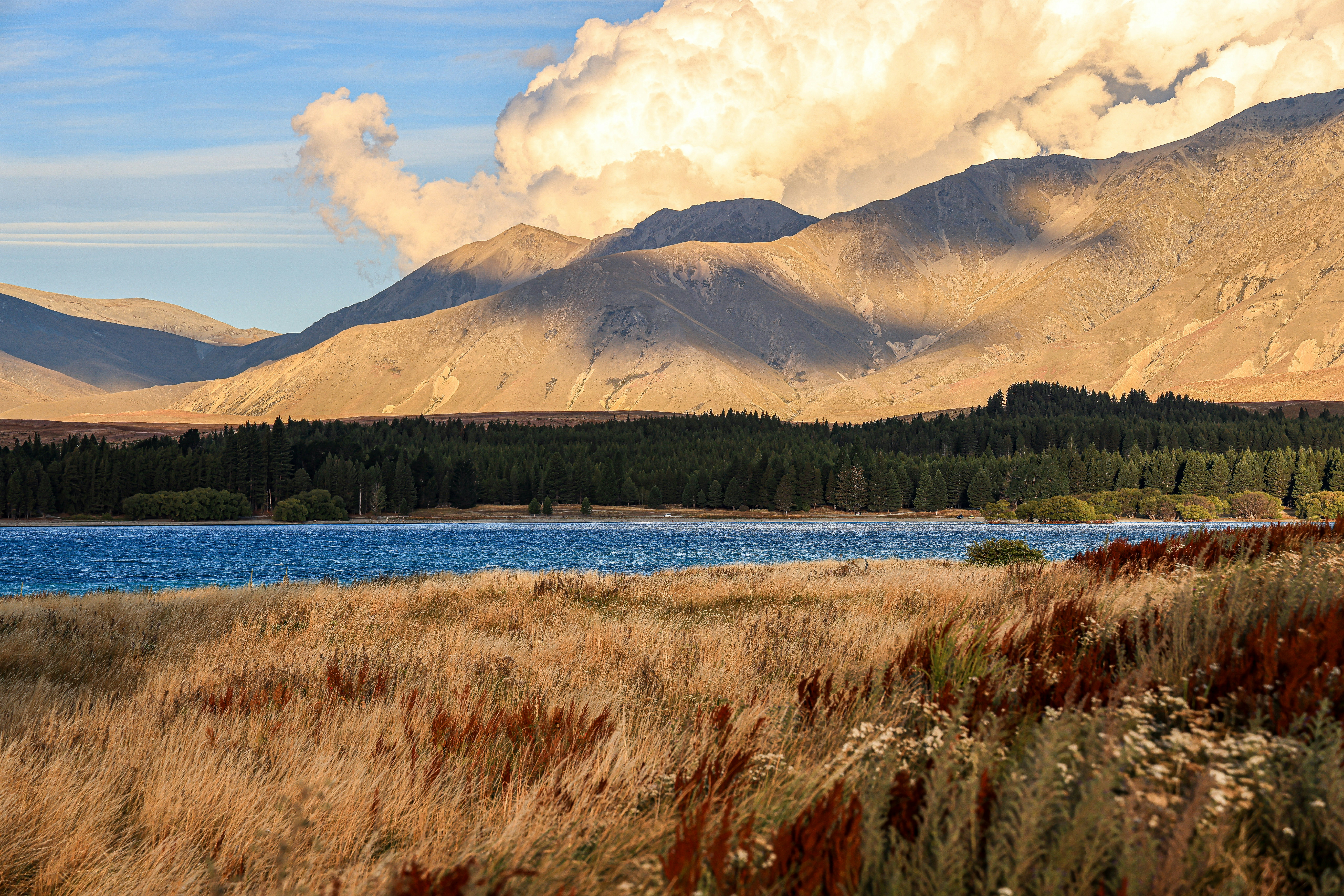 Whispers of Nature: The Tranquil Landscape