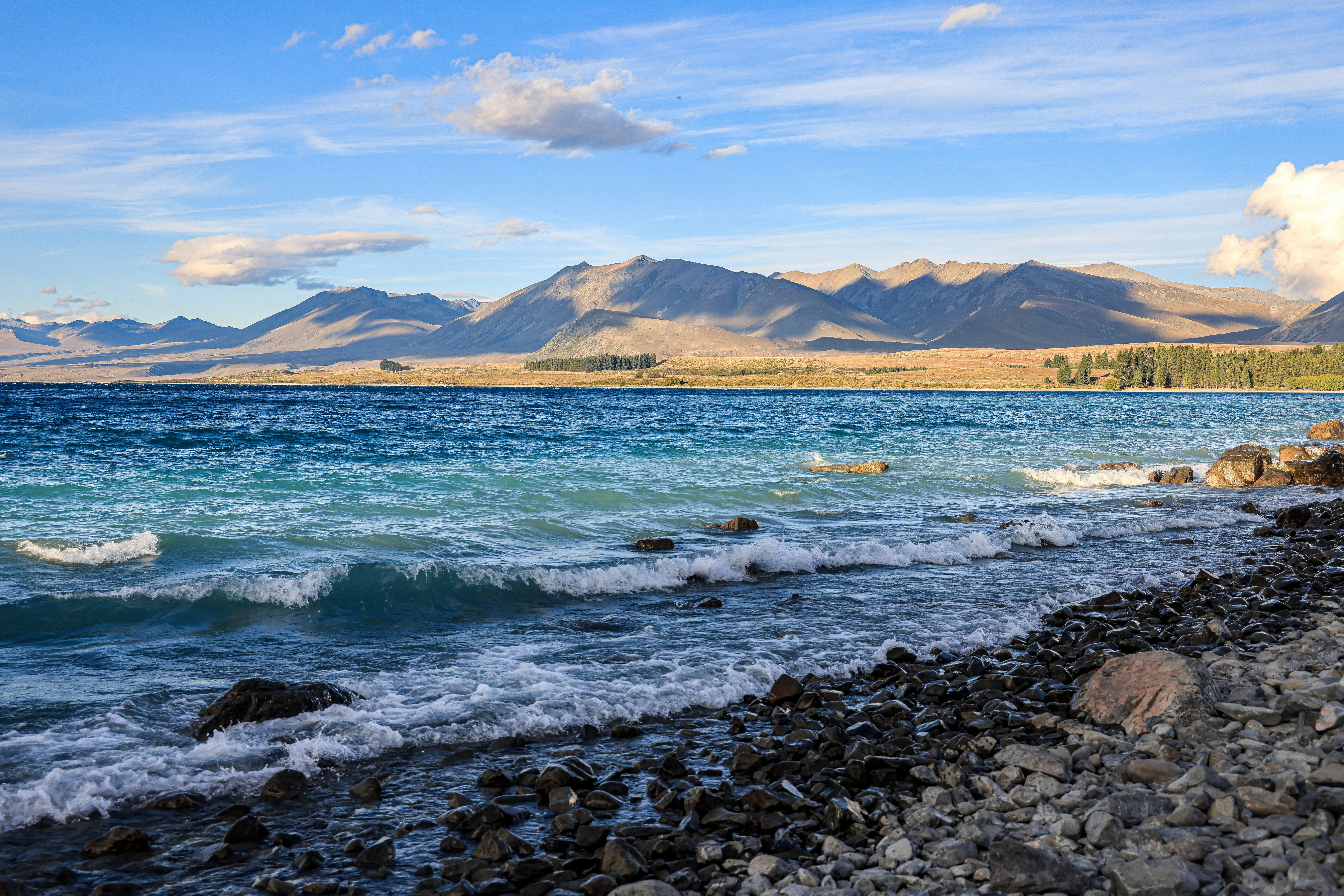 Whispers of the Lake: A Serene Shoreline Encounter
