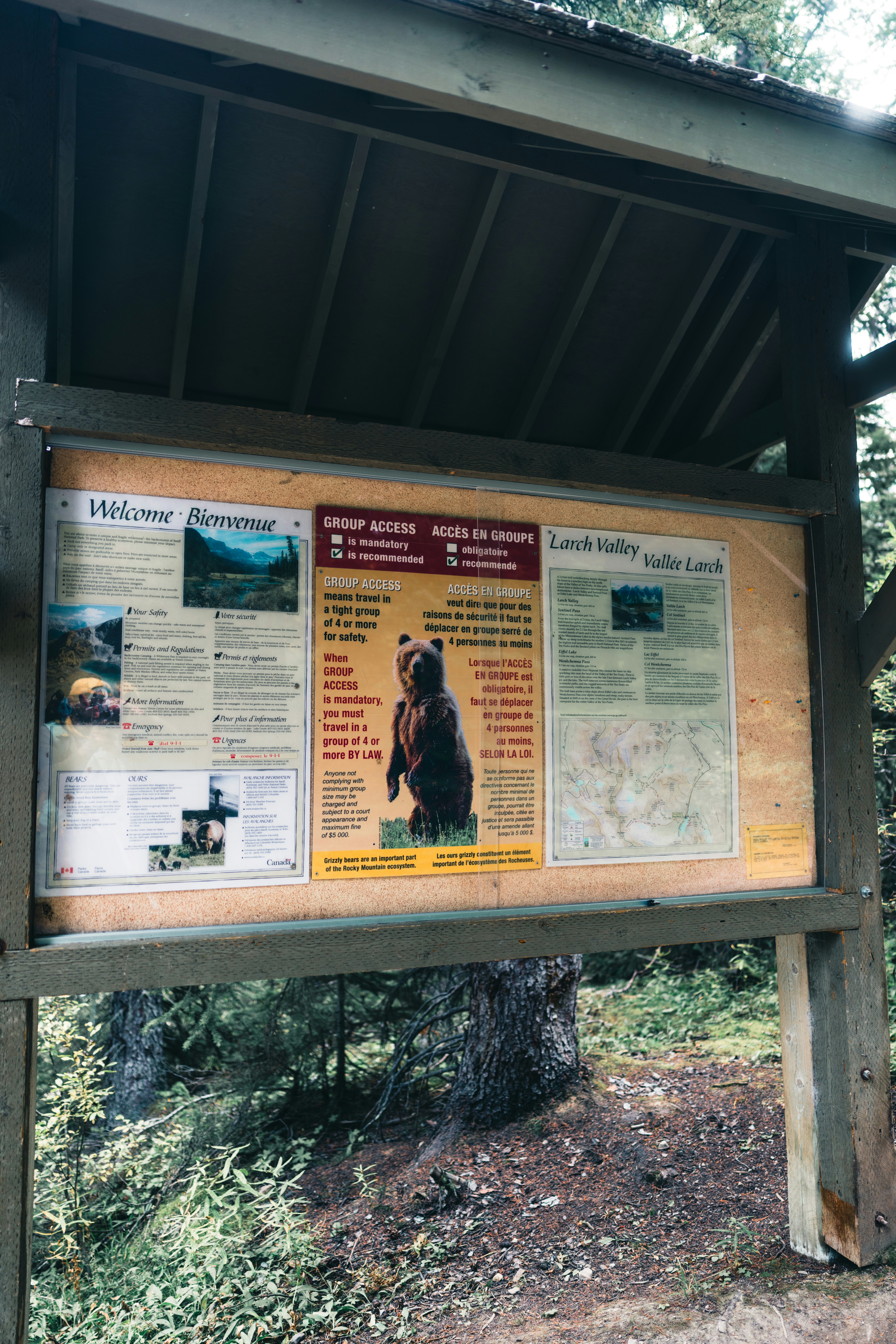 Guided Adventures Await: Discover Larch Valley