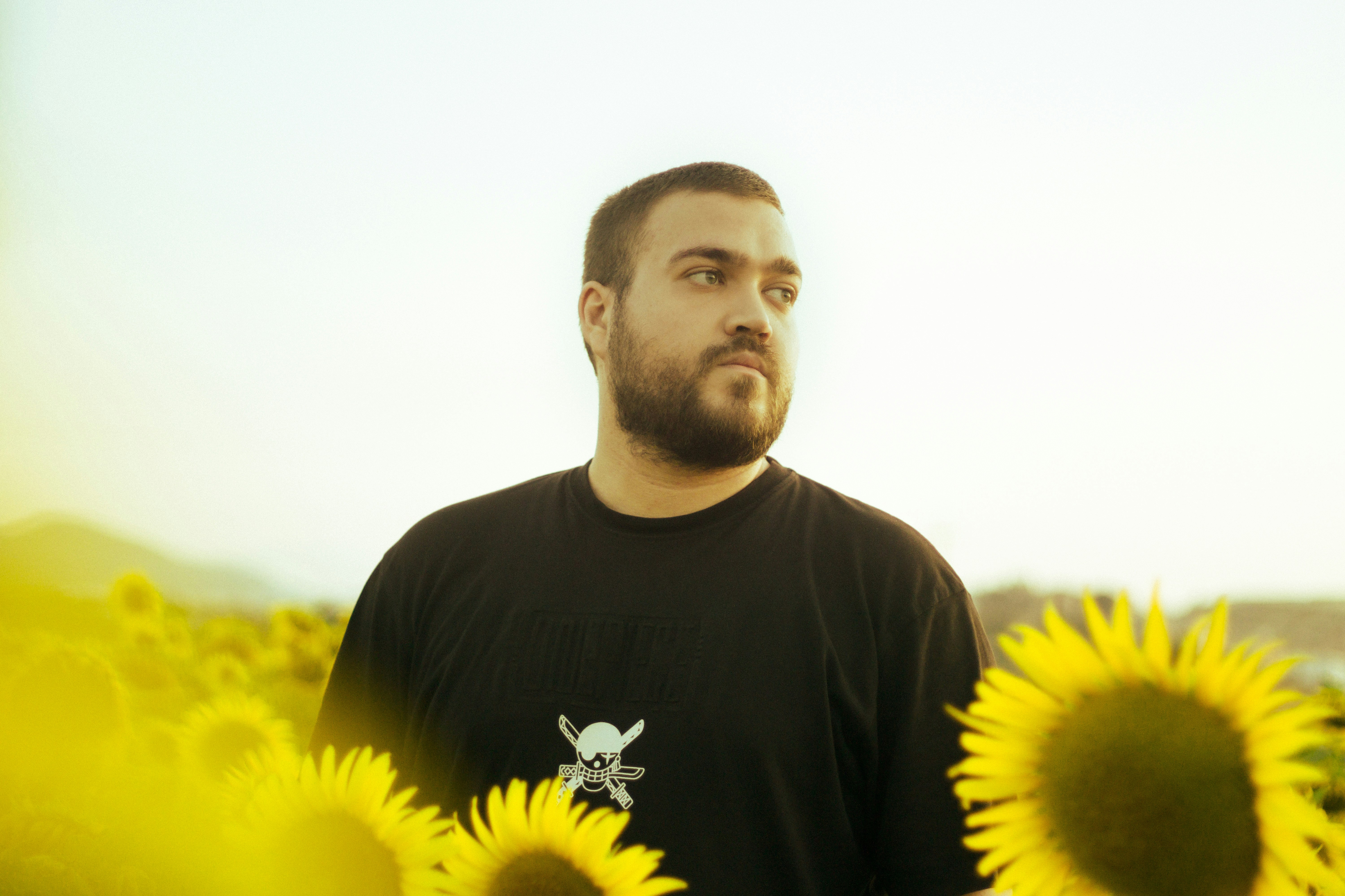 Sunflower Field Quiet: A Portrait in Warmbacklight