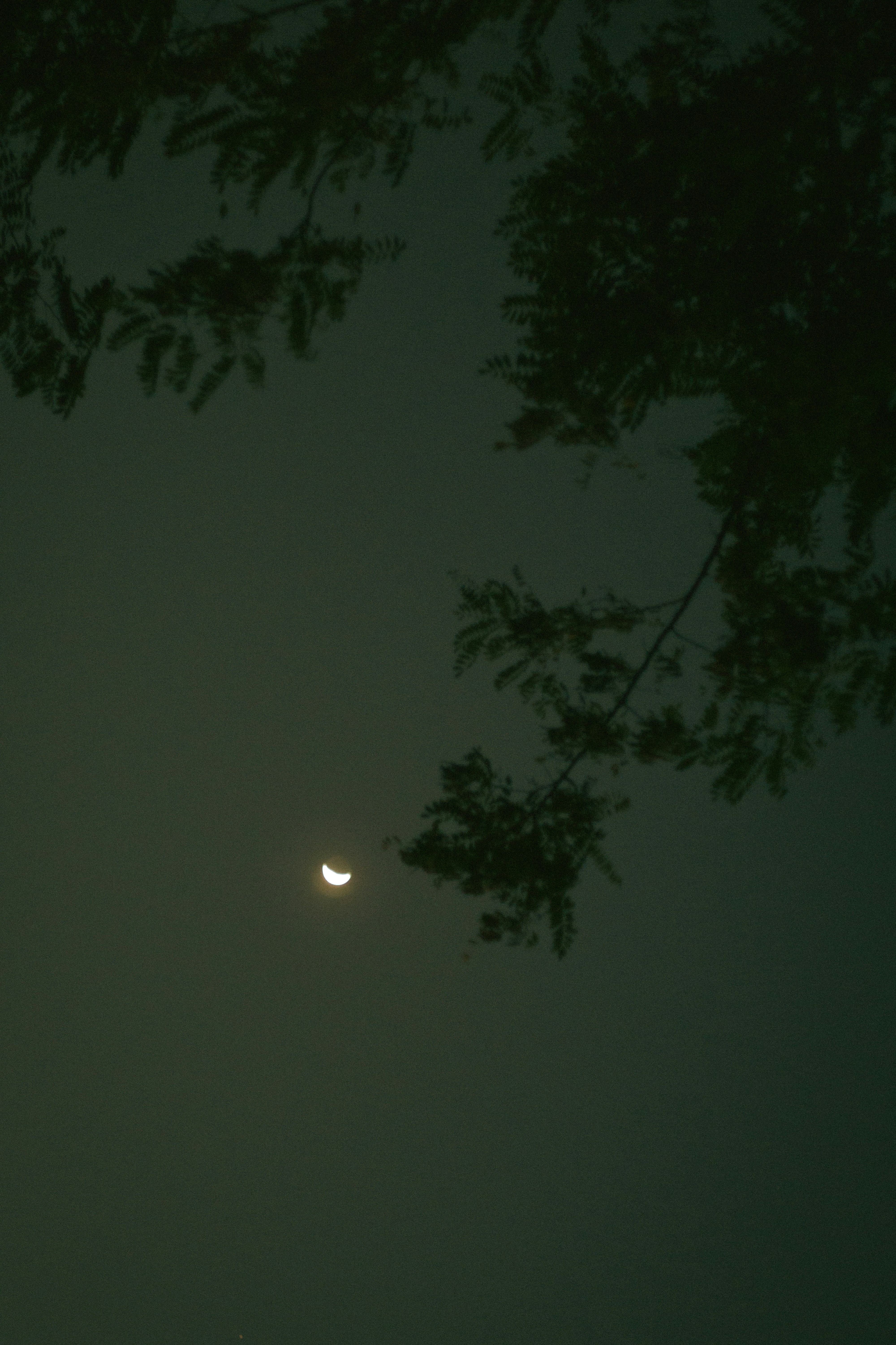 Crescent moon in a dark, misty sky