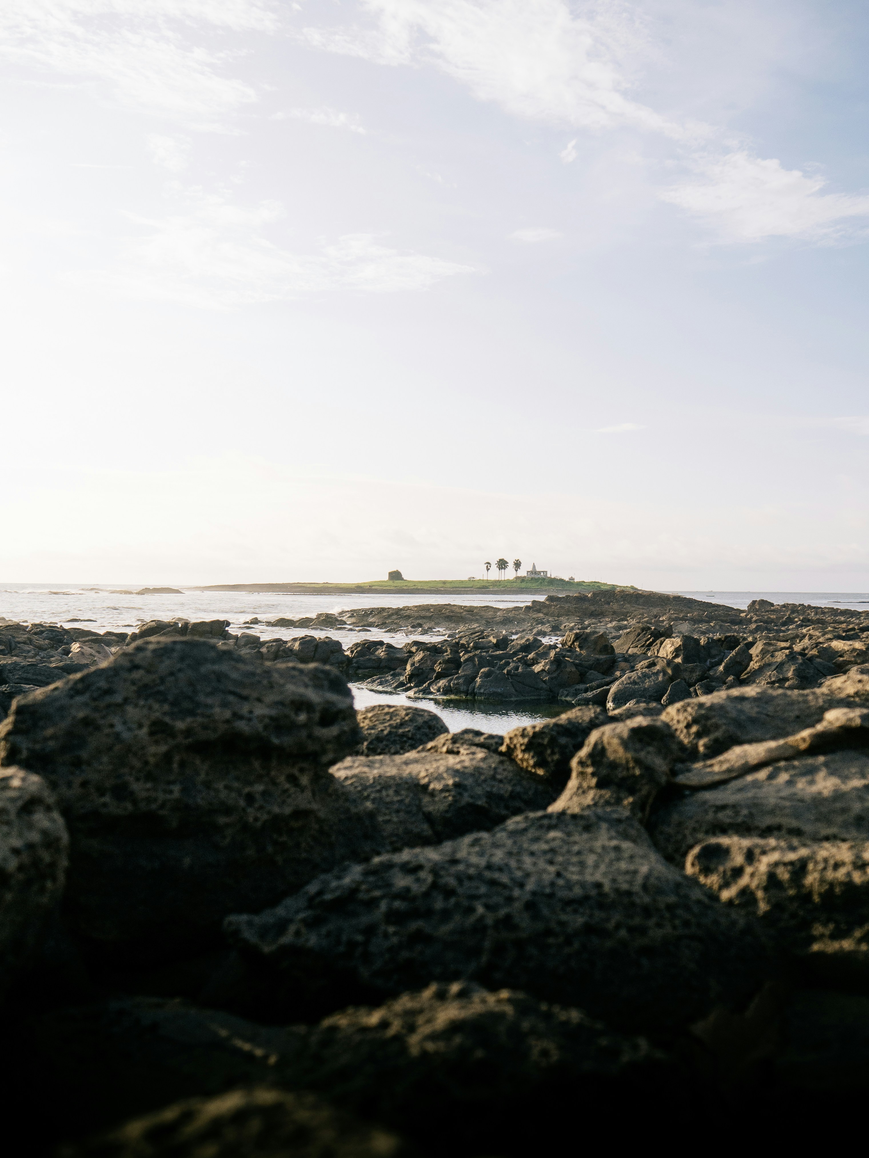 Whispers of the Tide