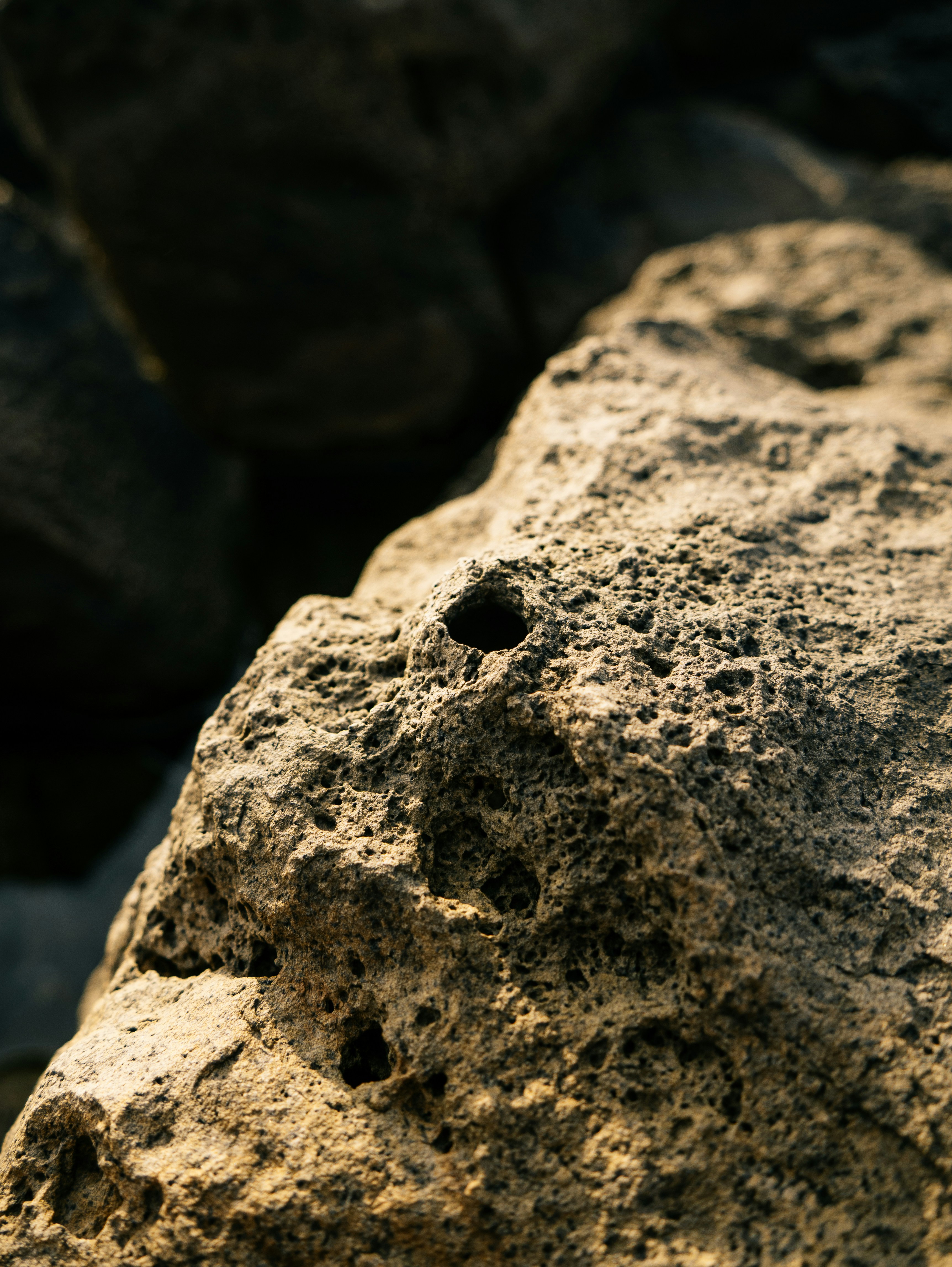 Close-up of a textured rock with a small hole.