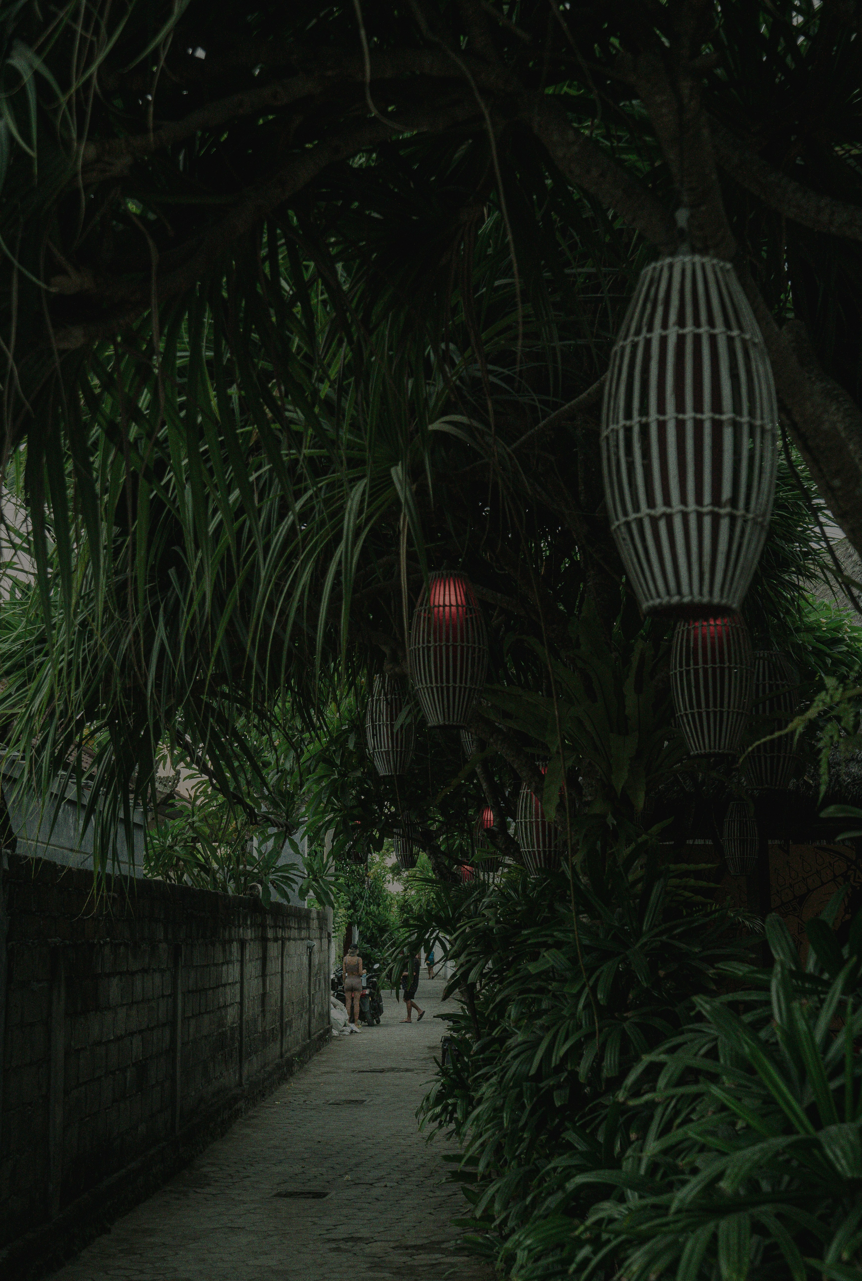 Enchanted Pathway of Lanterns