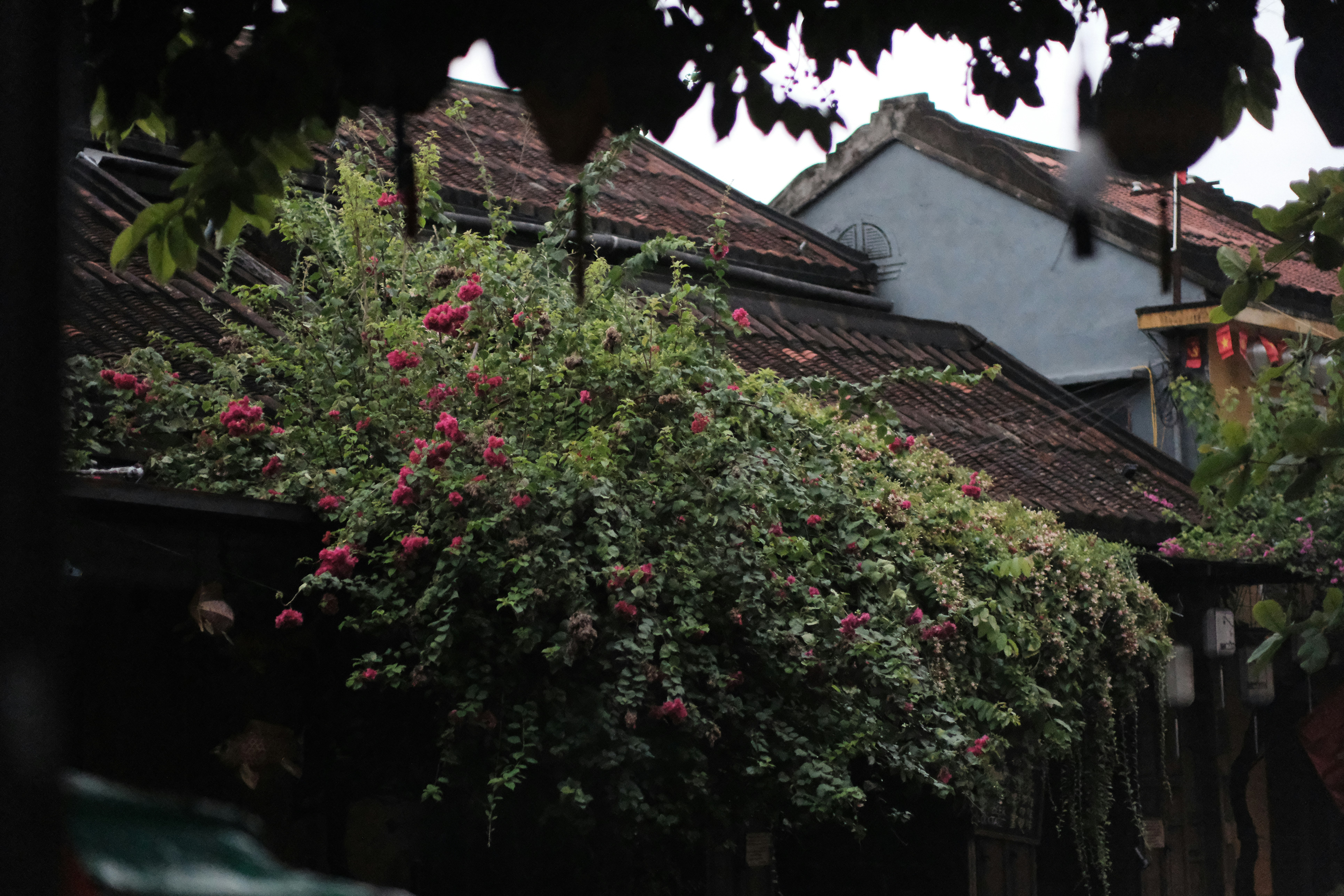 Sample photo from Fujifilm X-E5