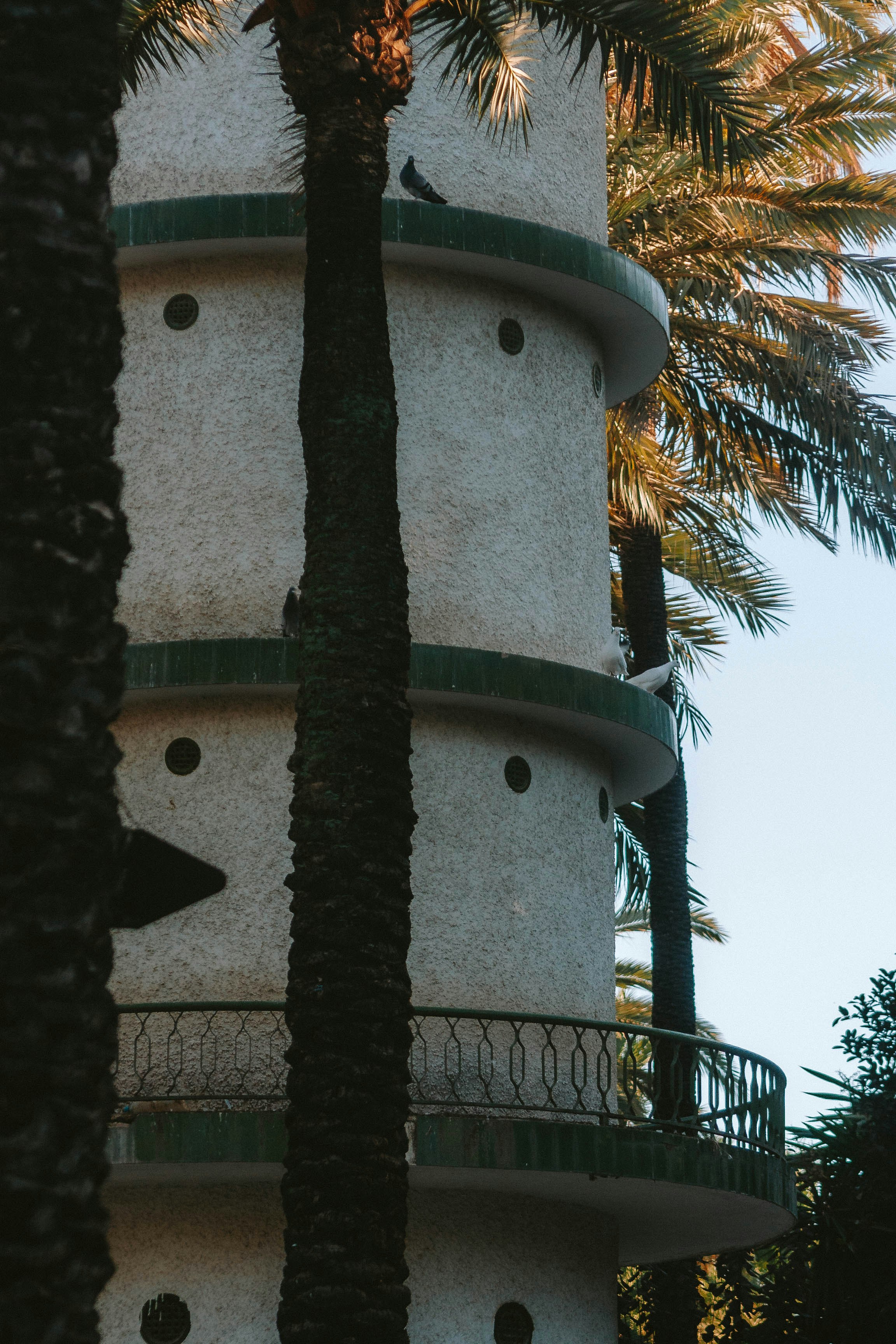 The Tower Among the Palms