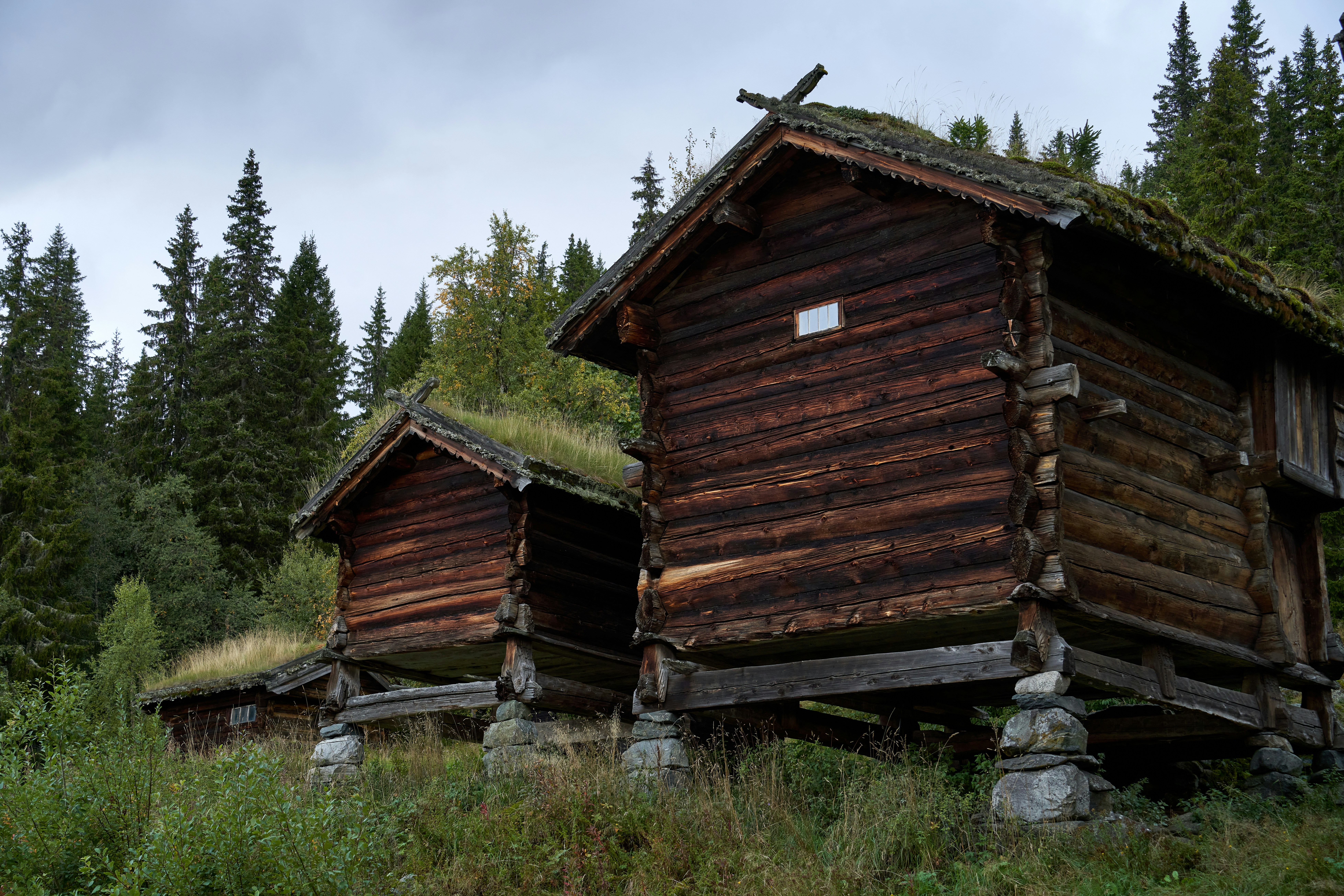 Old traditional Norwegian log store houses from Telemark