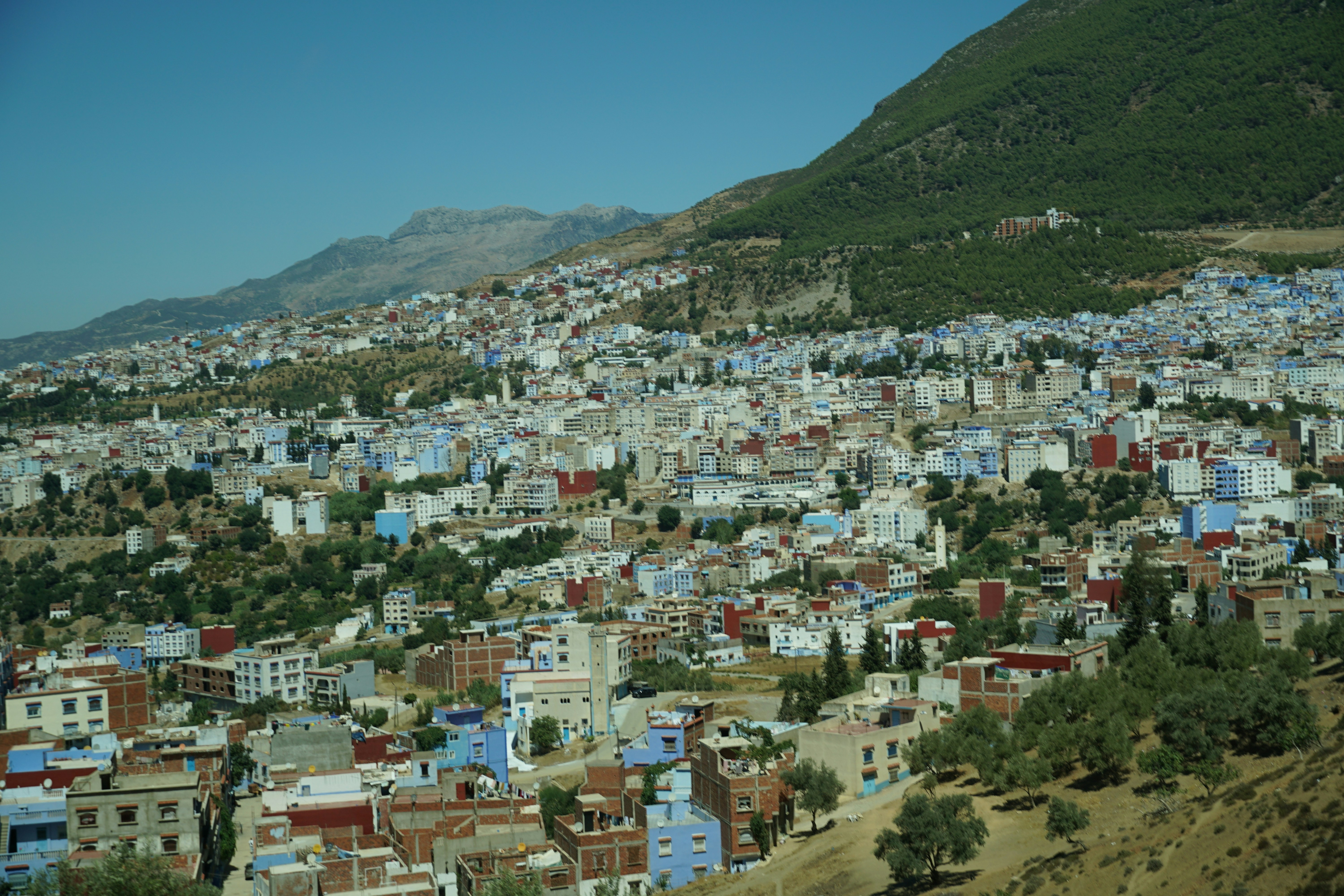 A hillside city with many blue buildings.