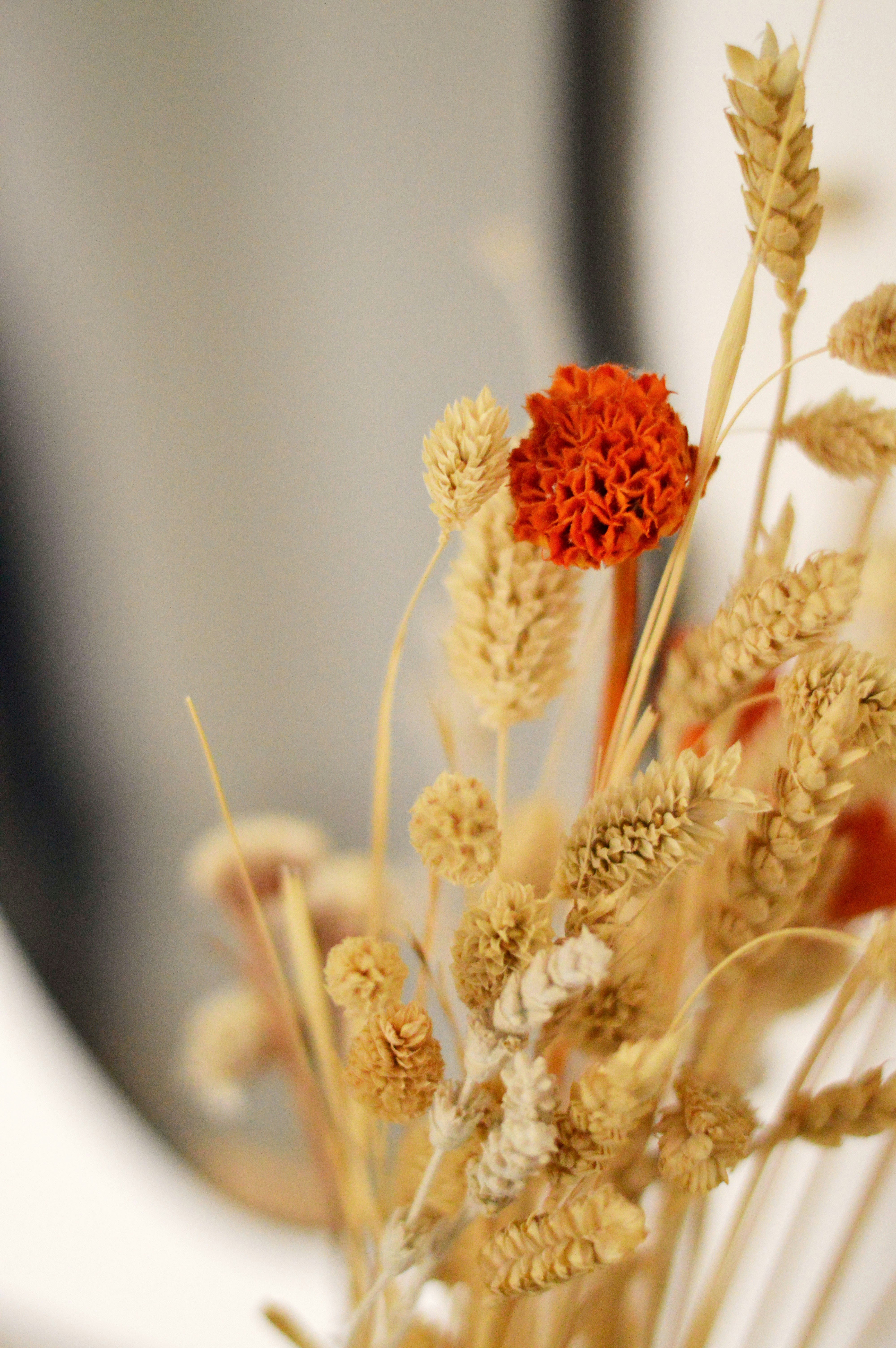 Whispers of Autumn: A Floral Symphony