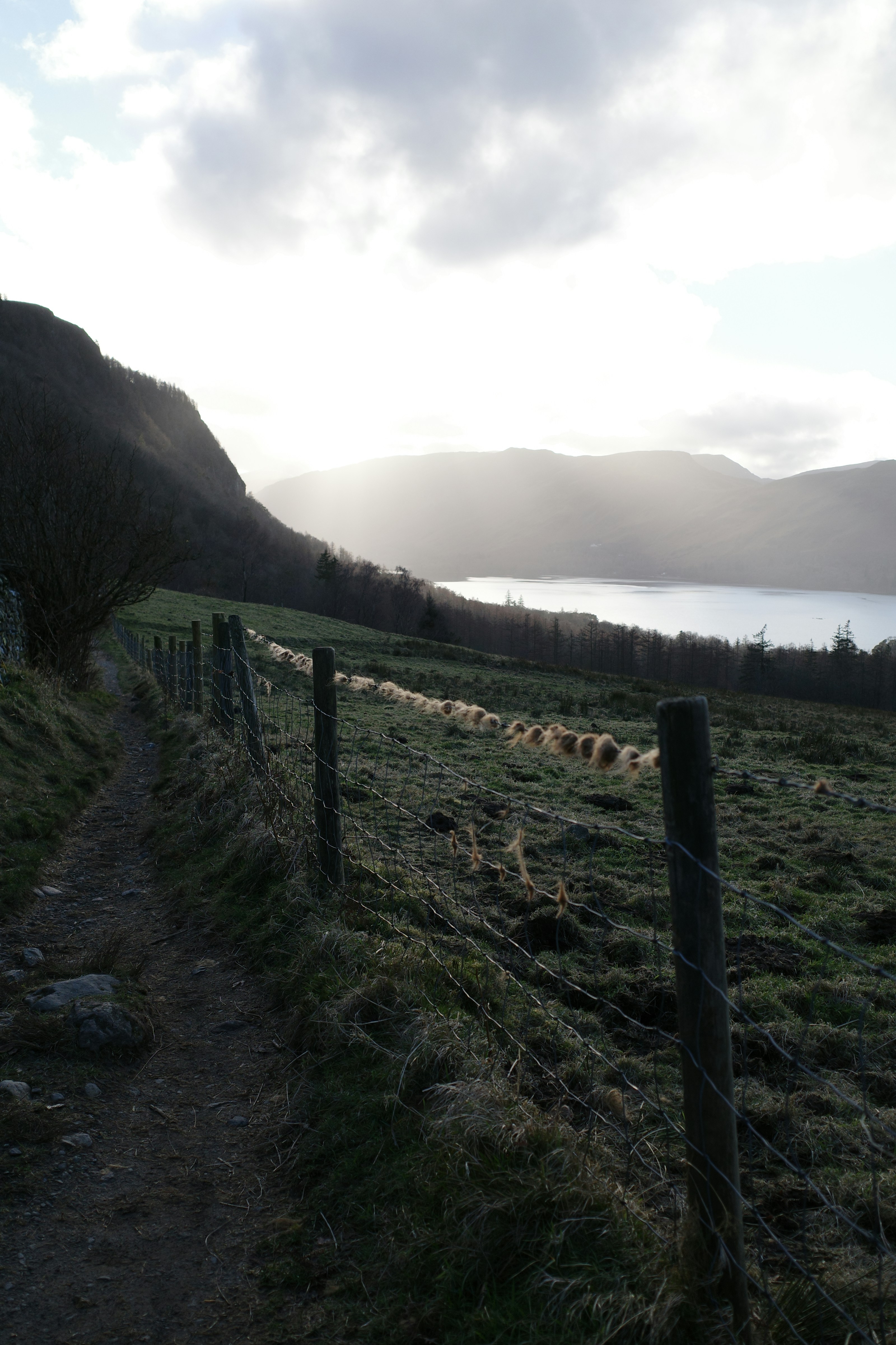 Whispers of the Highland Trail
