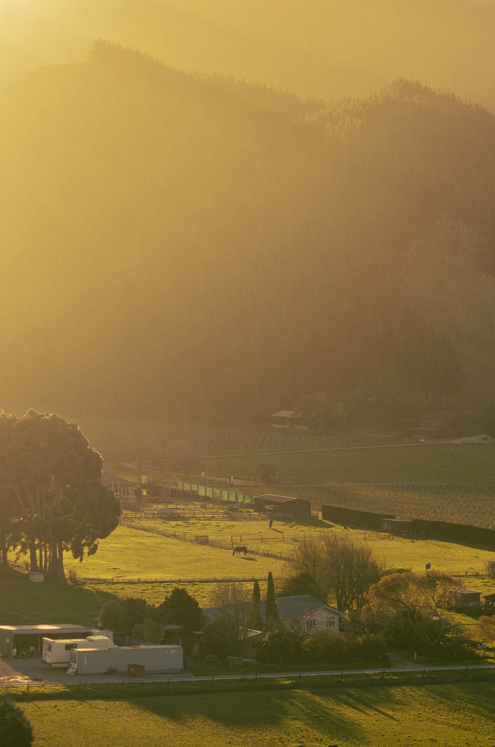 Golden hour illuminates a rural landscape with rolling hills.