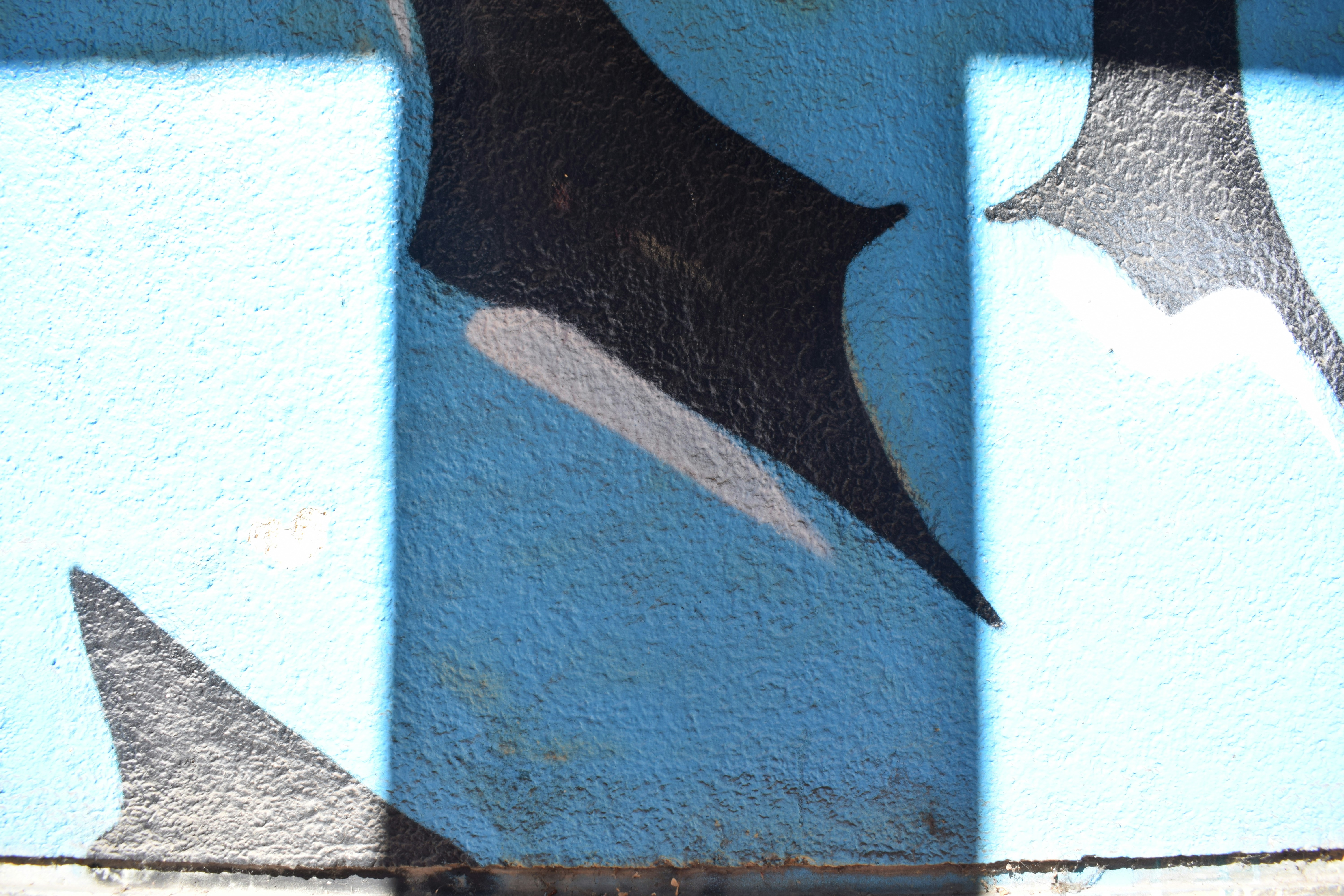 Shadows and Shapes: A Dance of Color