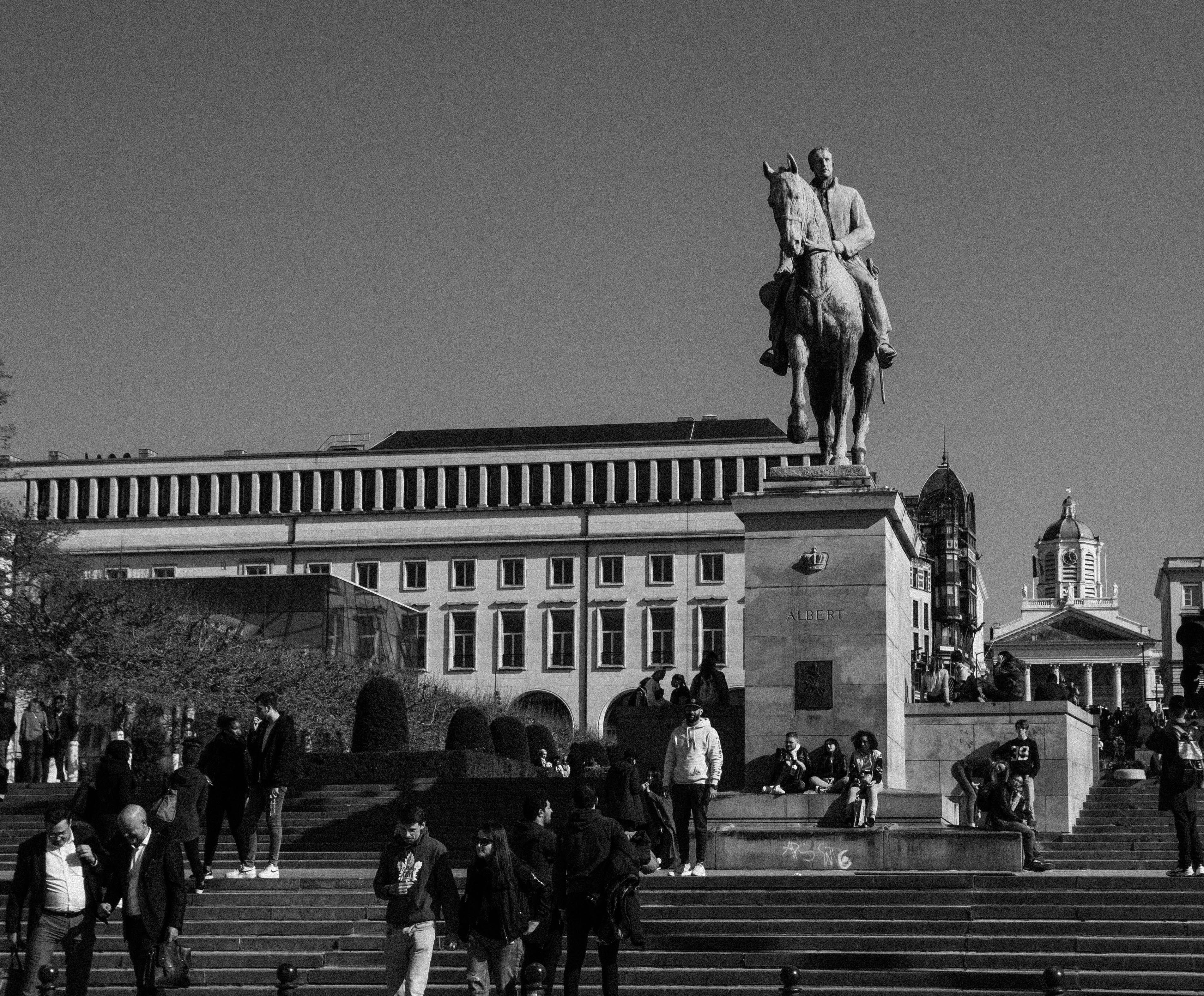 Equestrian Echoes of History