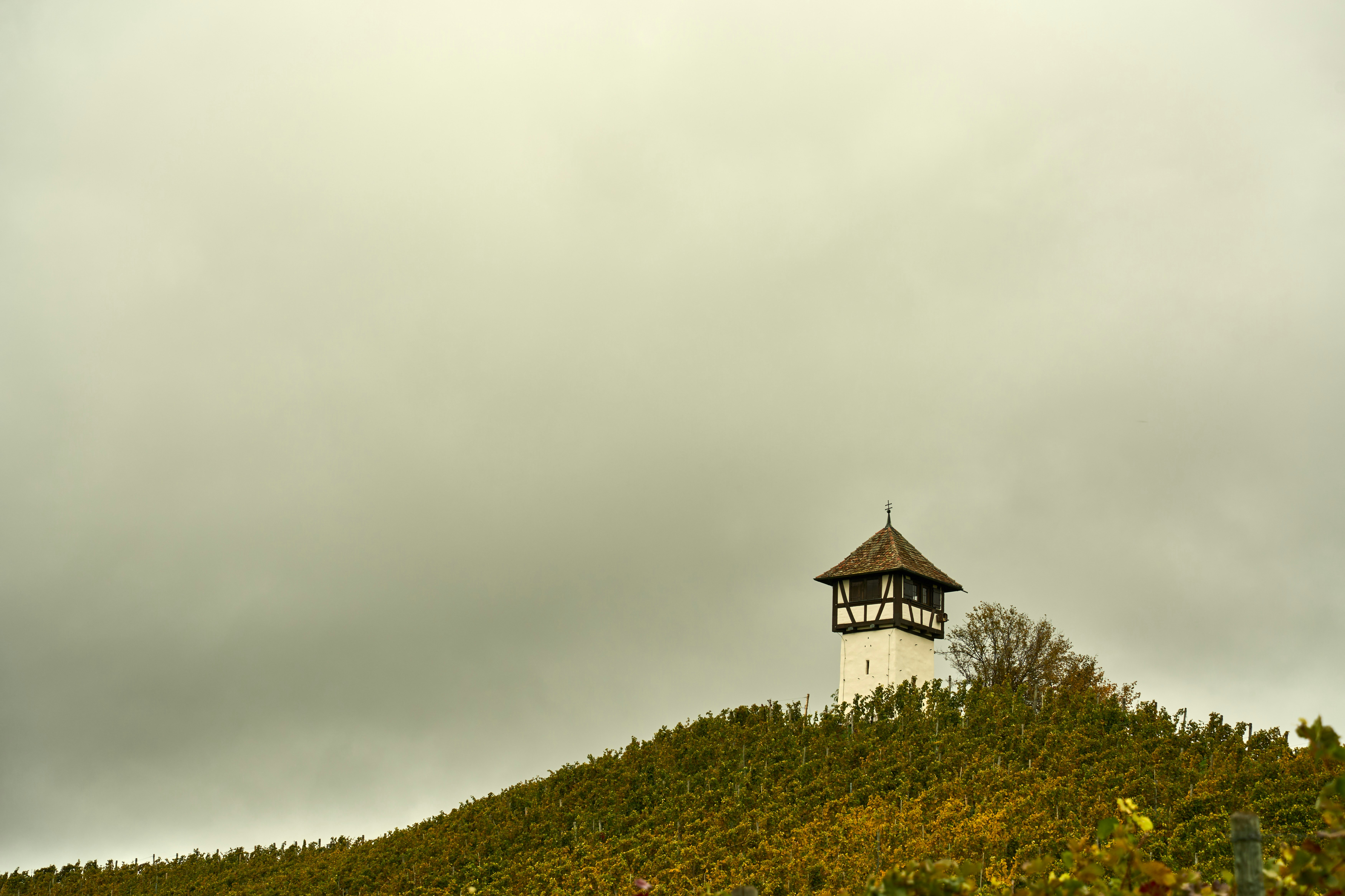 White tower on a hill with vineyard under cloudy sky.