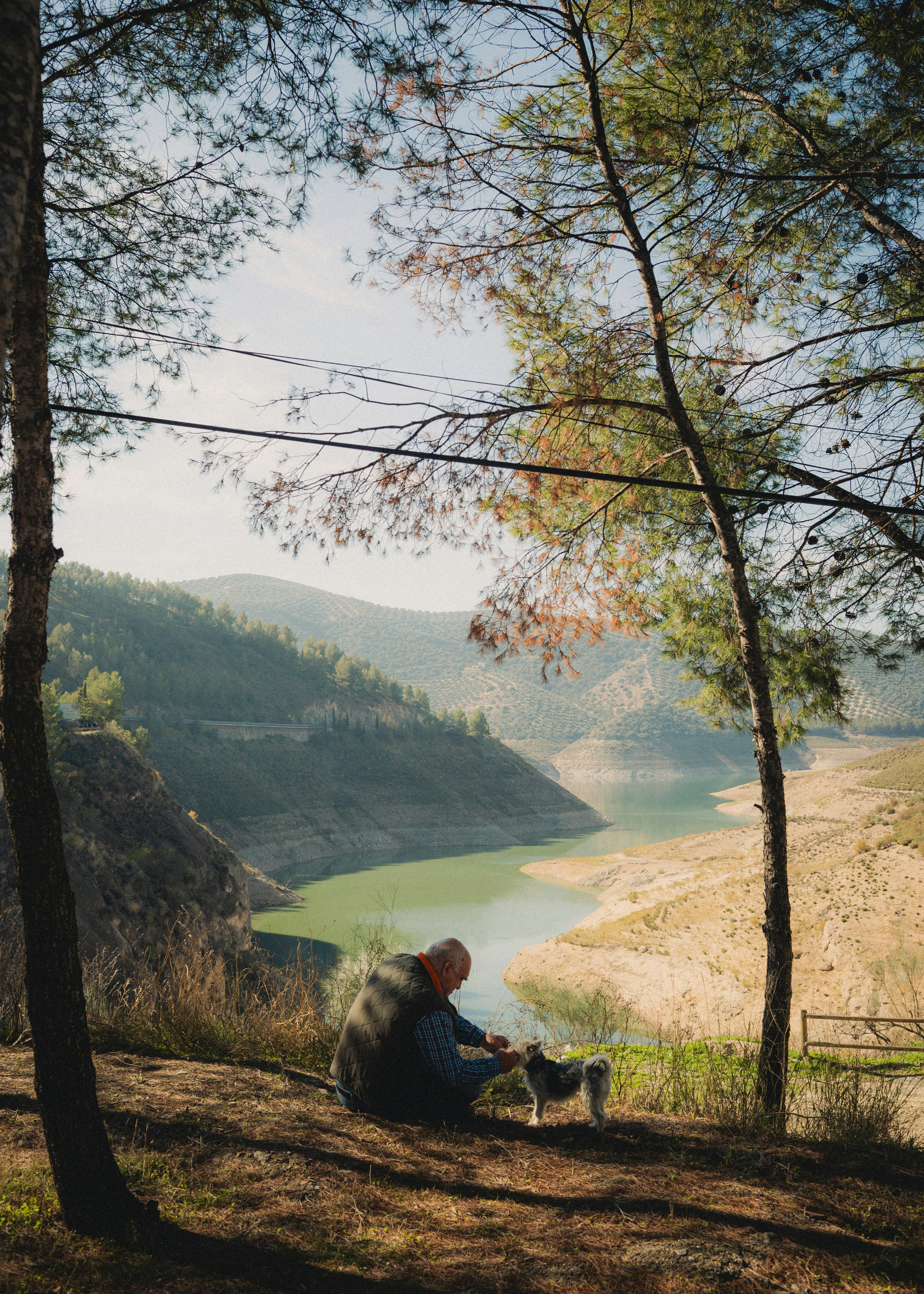 Harmony in Nature: A Bond Beyond Words