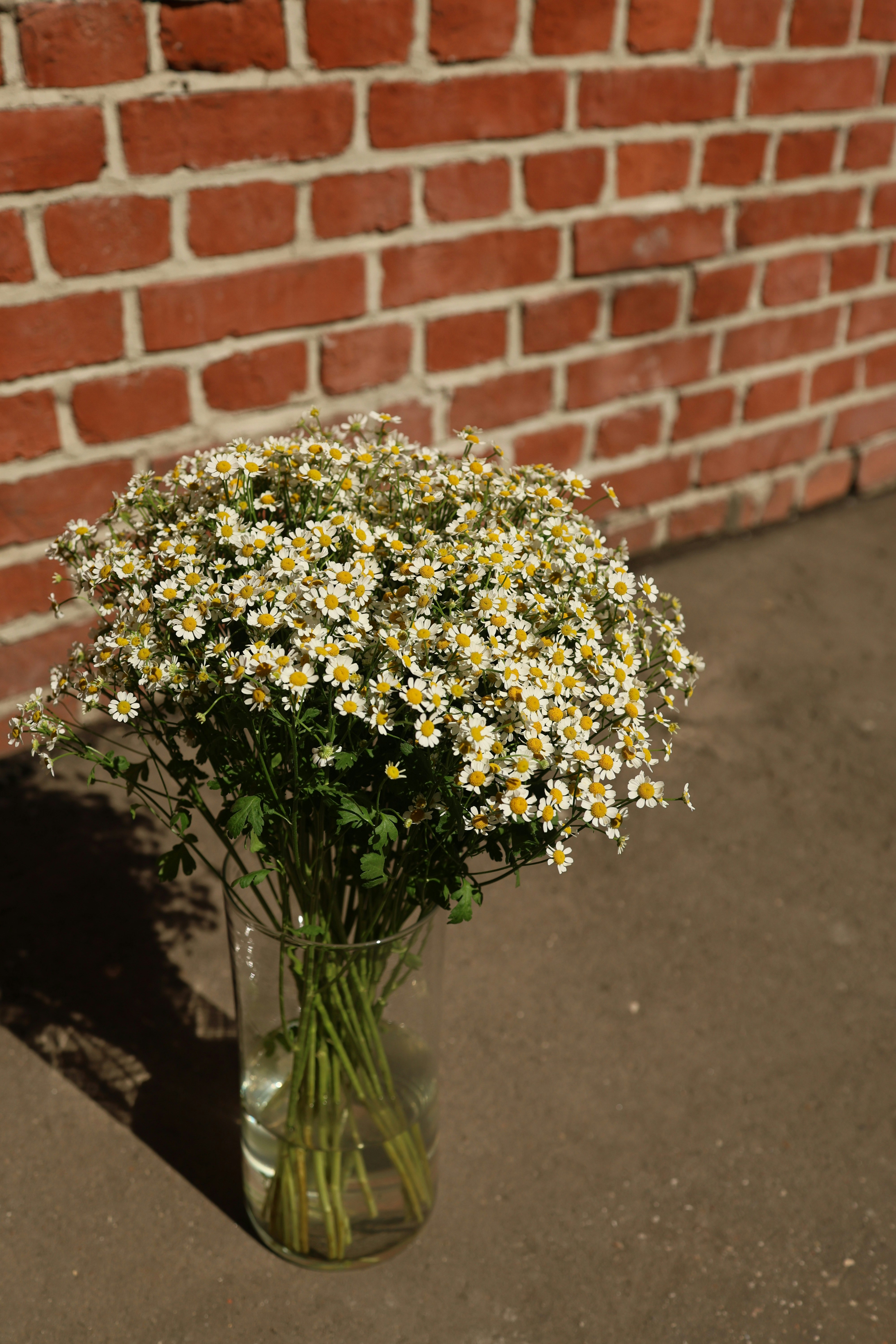 Marie G. (@mindandcoffee) | Komunitas Foto Unsplash