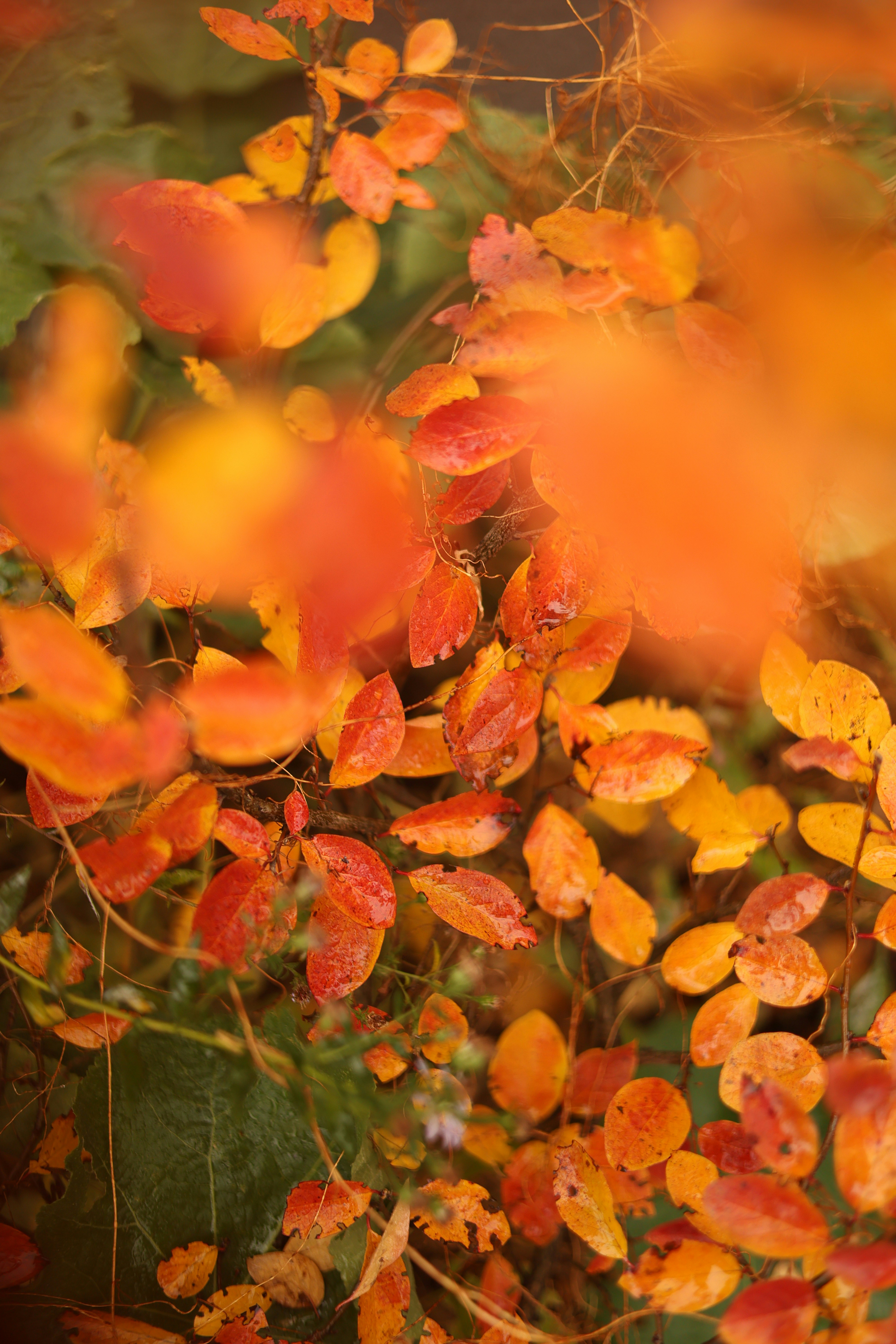 Marie G. (@mindandcoffee) | Komunitas Foto Unsplash