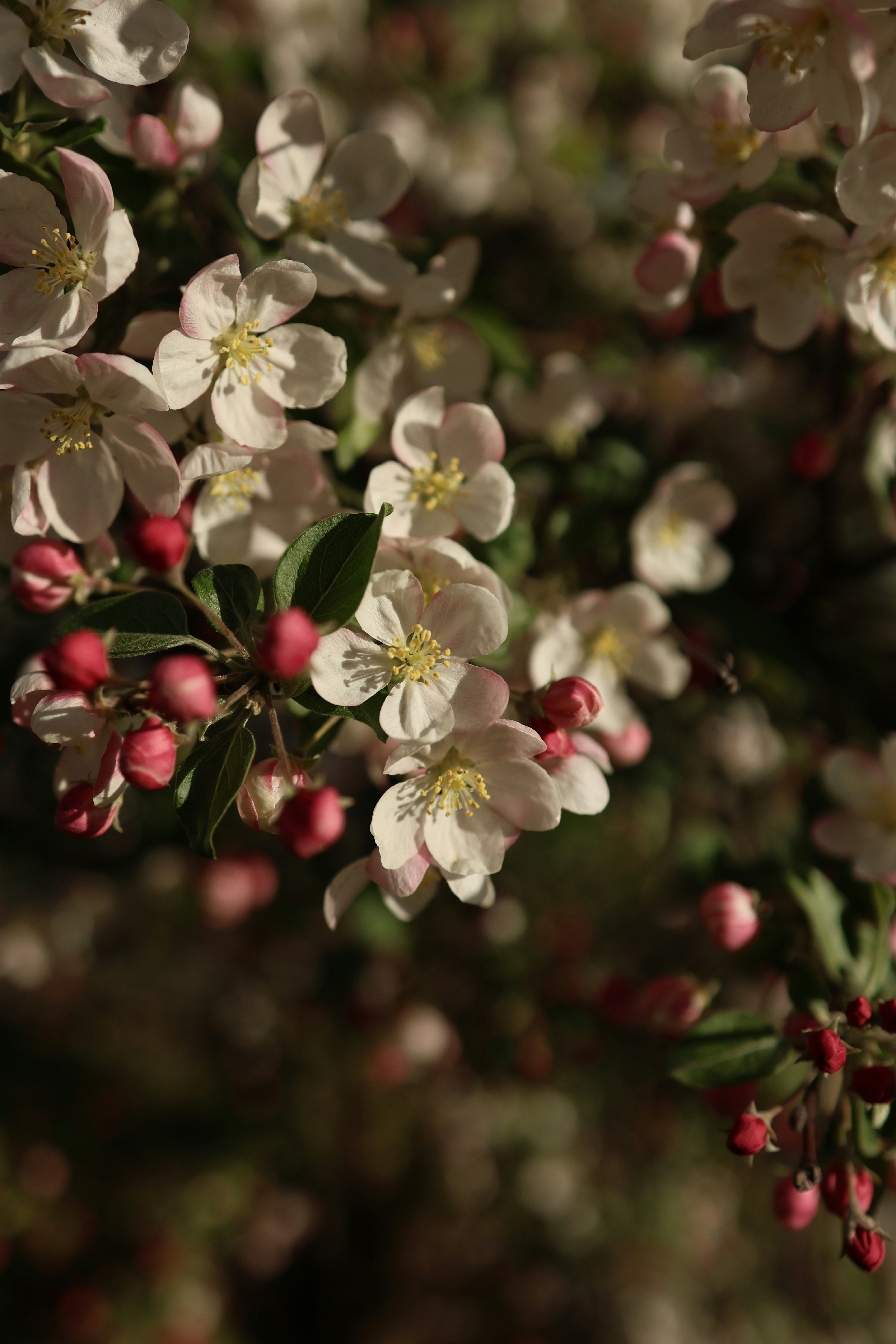 Marie G. (@mindandcoffee) | Komunitas Foto Unsplash