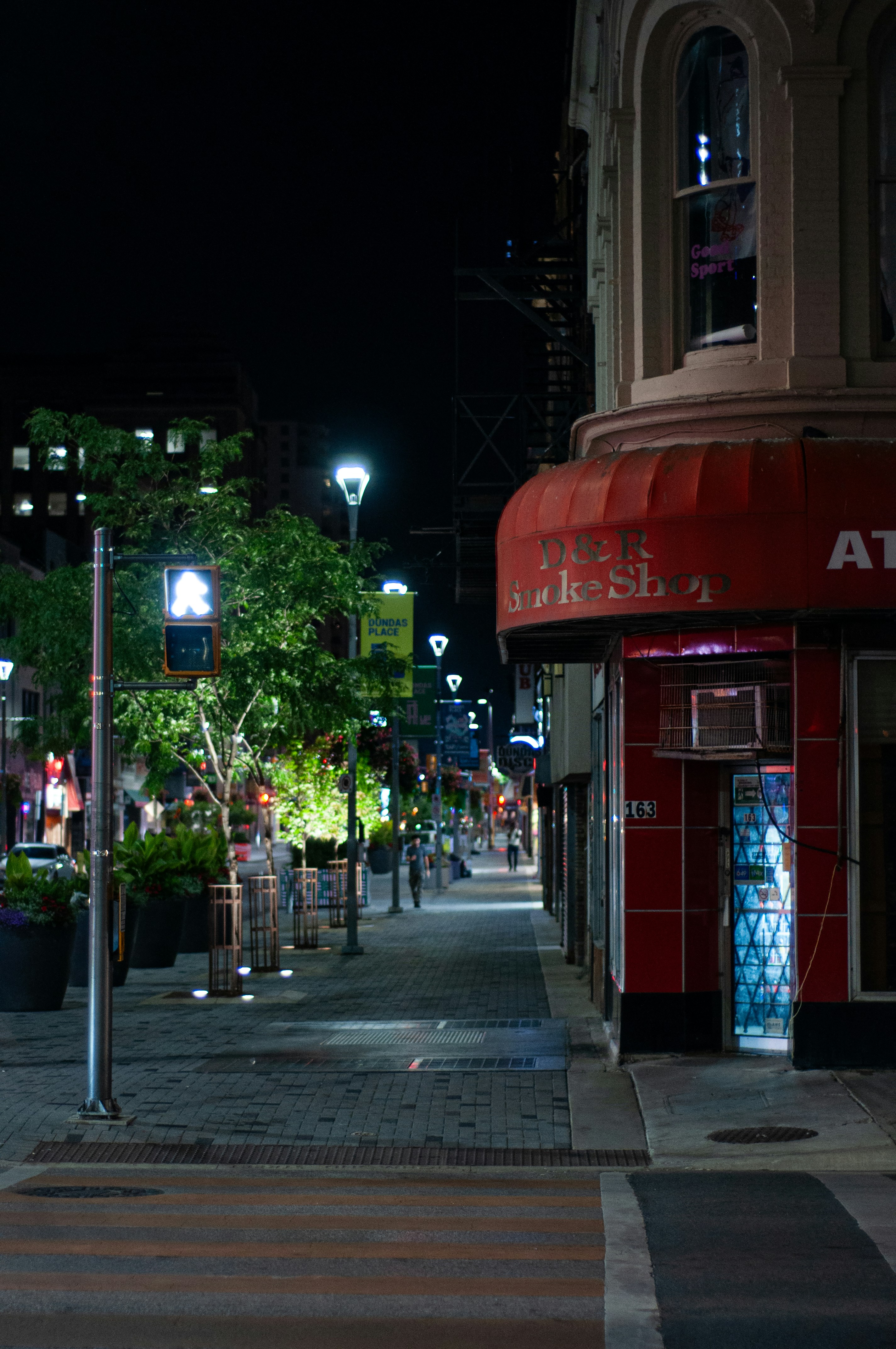 Nocturnal Urban Oasis: A Serene Stroll