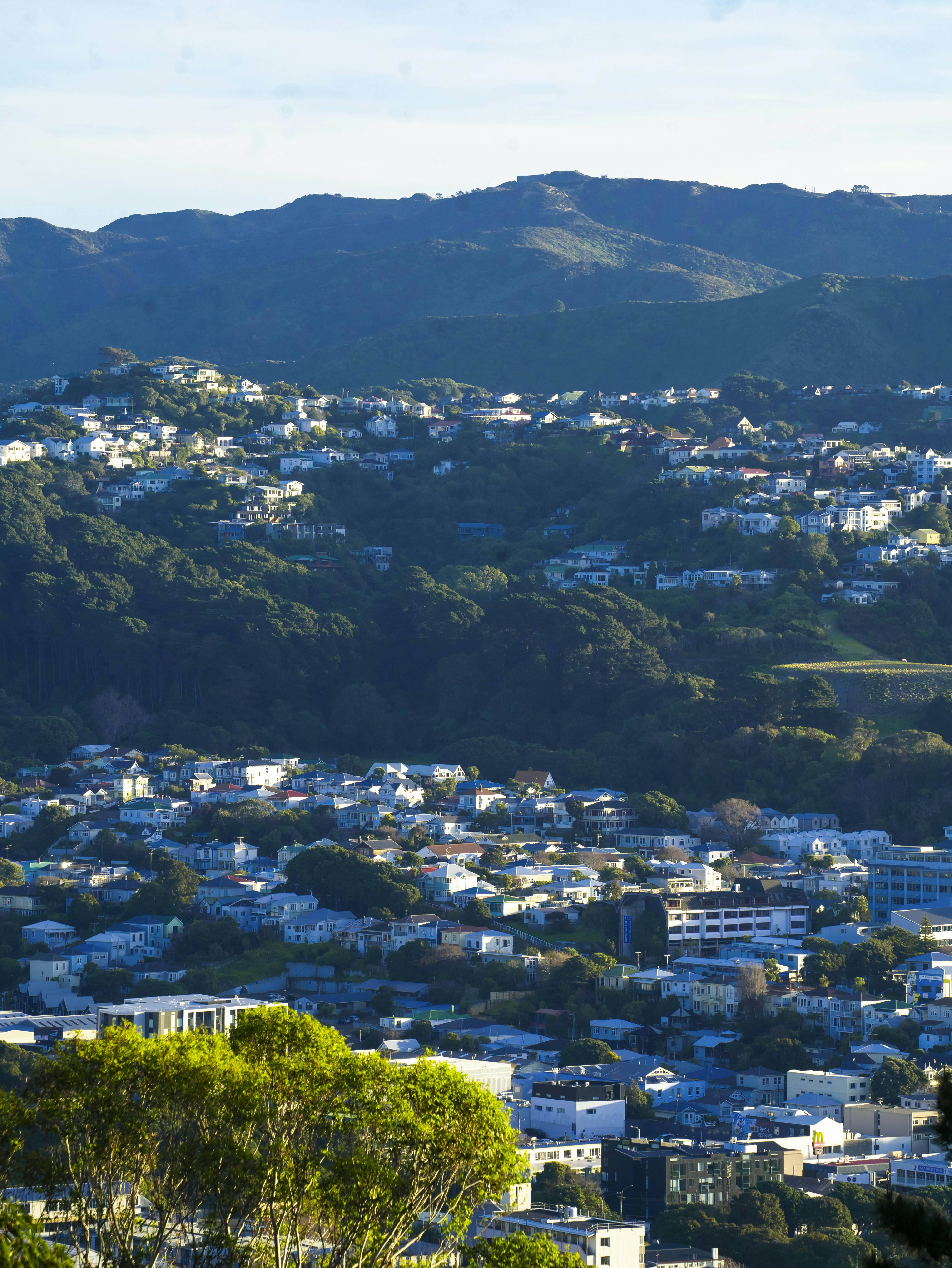 Distant view of a sprawling city on rolling hills.