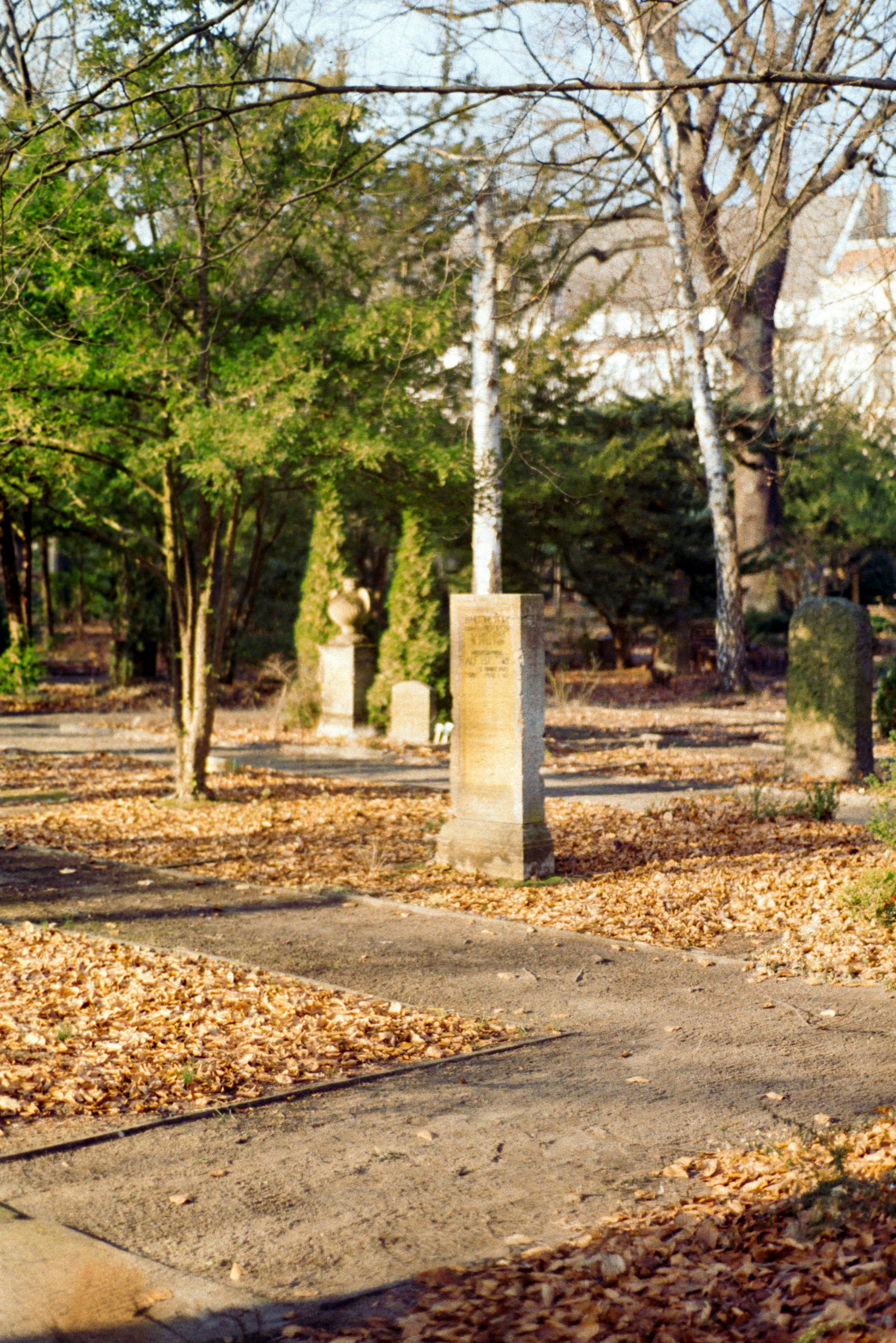 Whispers of Time: A Serene Cemetery Scene