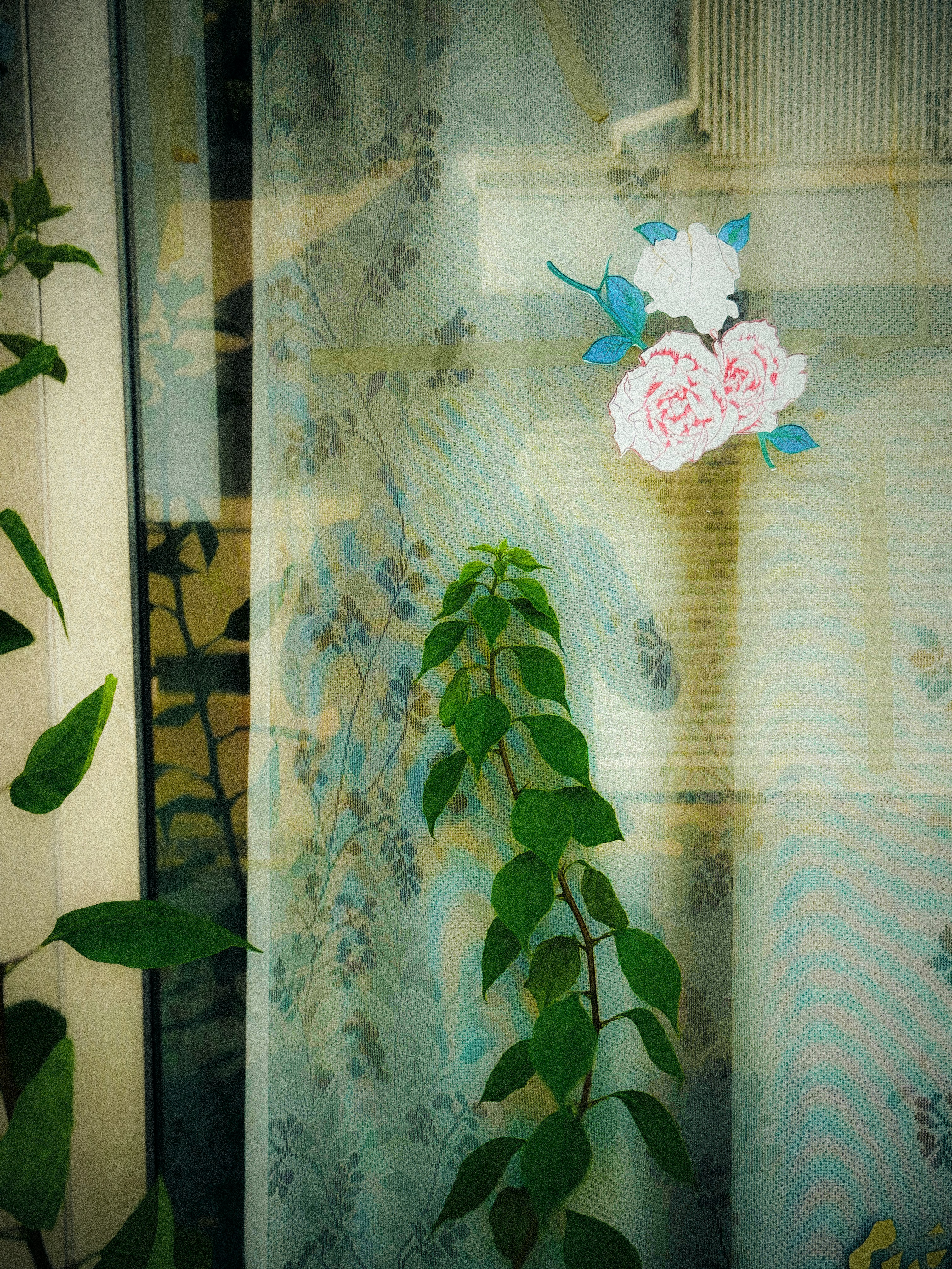 Whispers of Nature Behind Glass