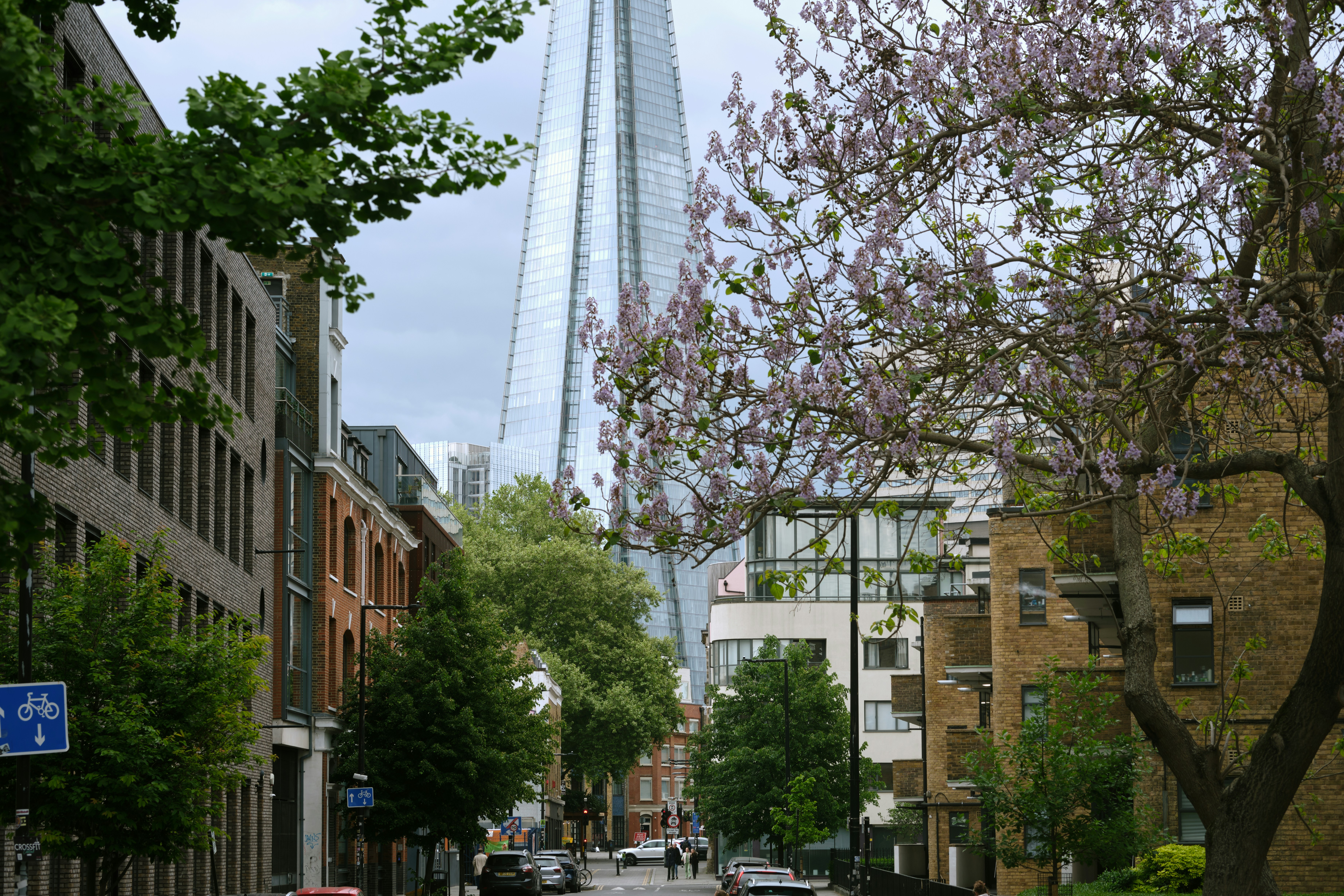 Urban Harmony: Nature Meets Modern Architecture