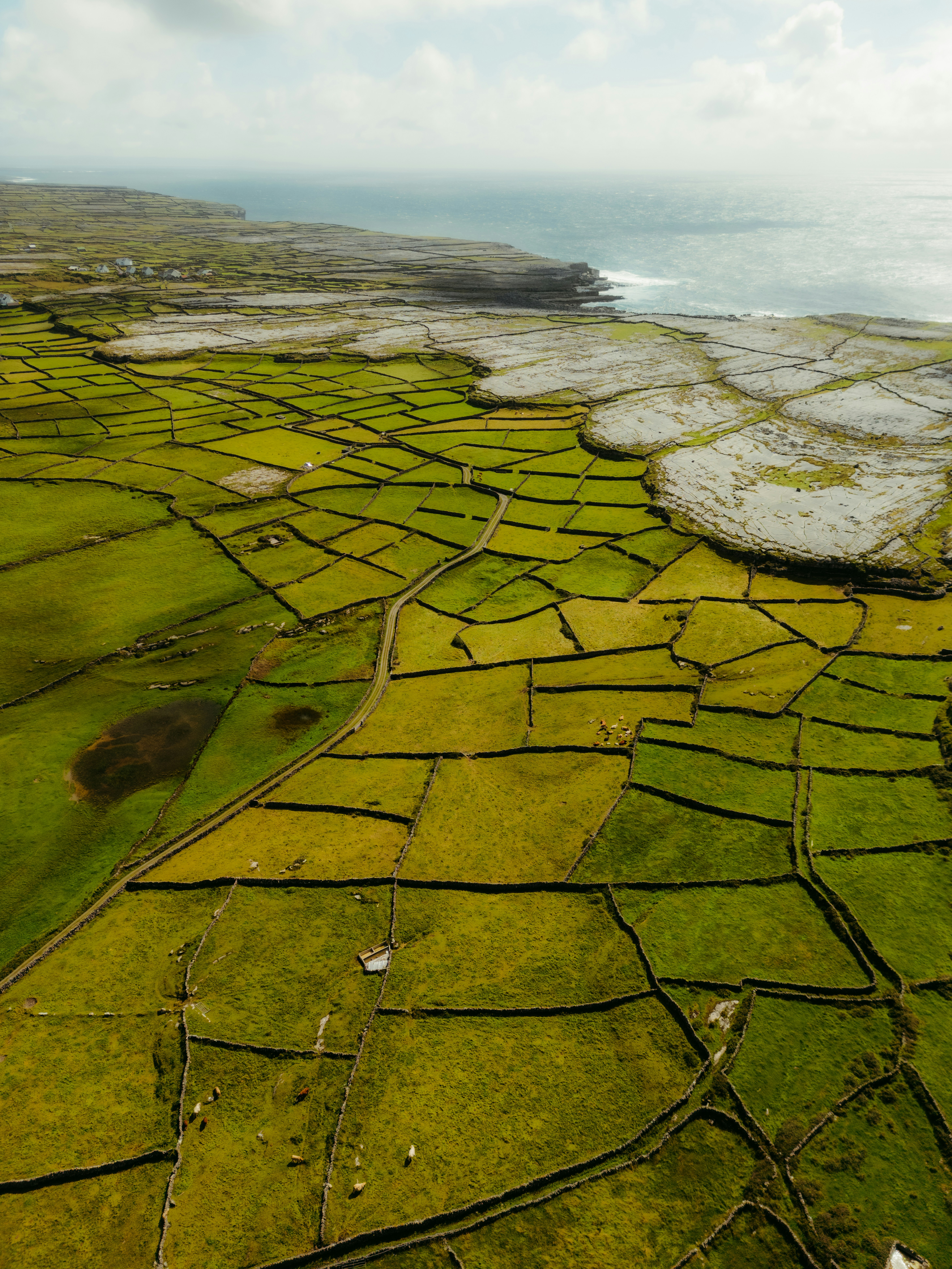 Patchwork Cliffs: Geometric Fields Meeting the Sea