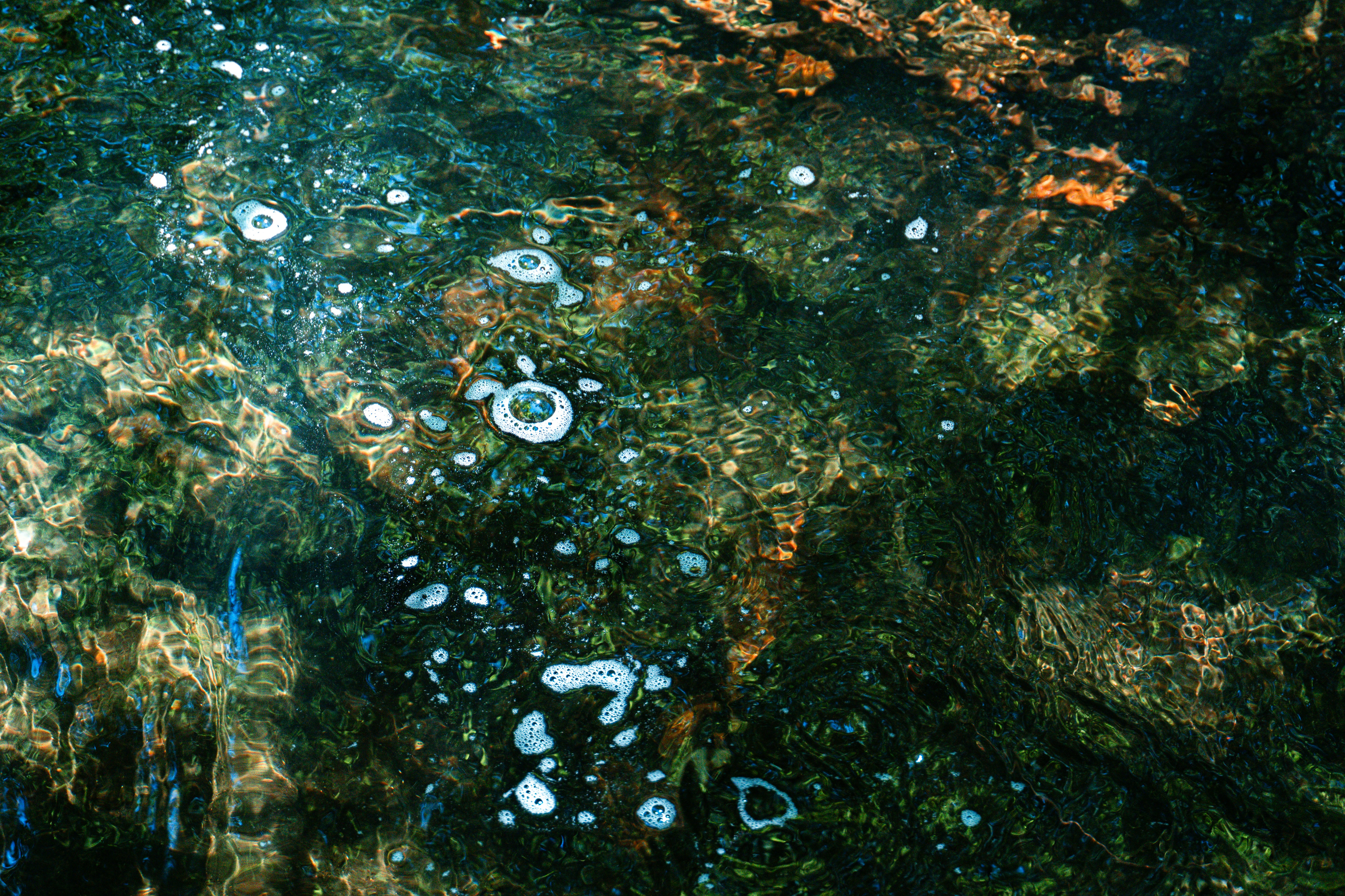 Bubbles rise from a rocky, mossy underwater surface. photo – Free ...