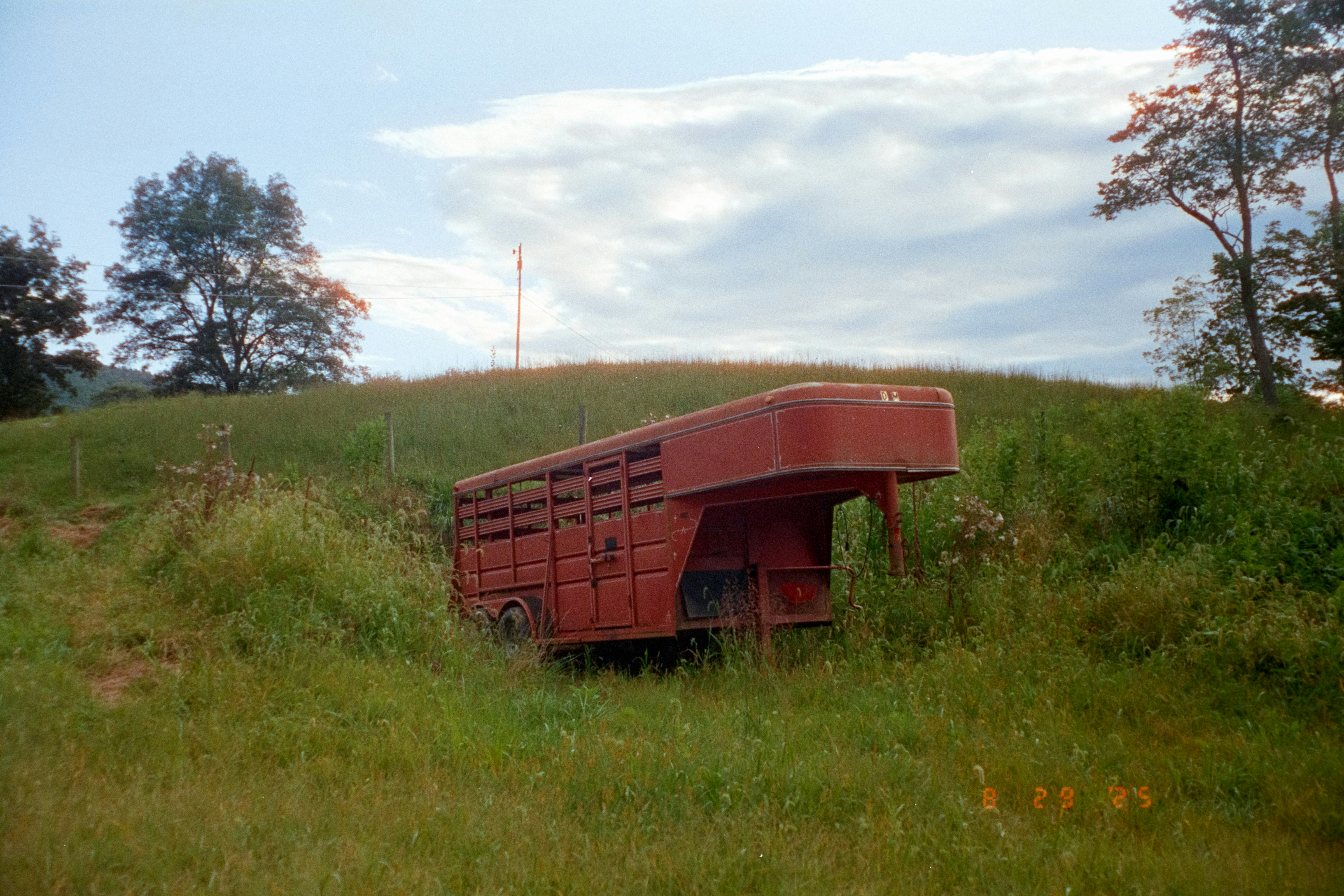 Forgotten Hauler: A Rustic Relic in Nature's Embrace