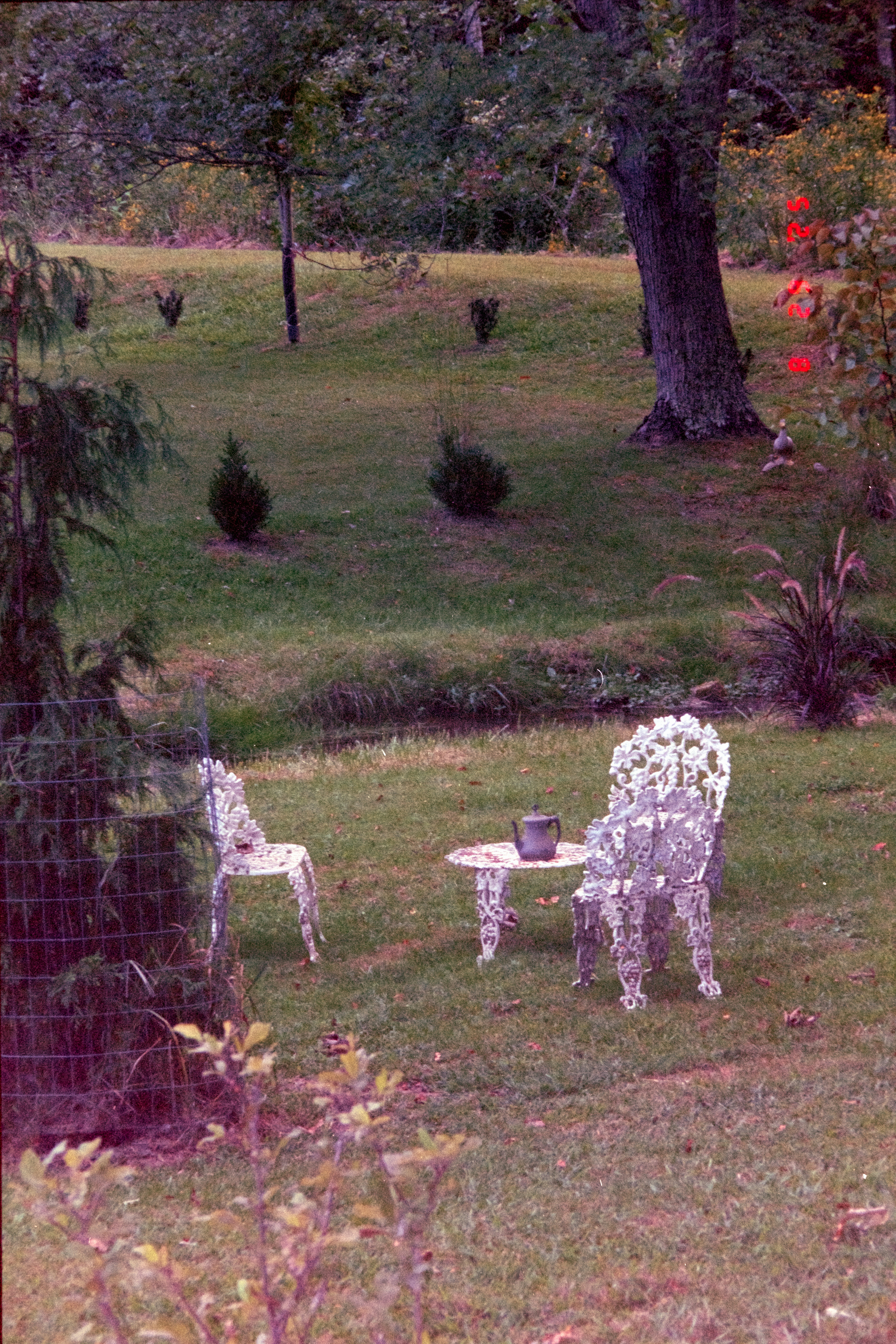 Whispers of Nature: A Serene Retreat