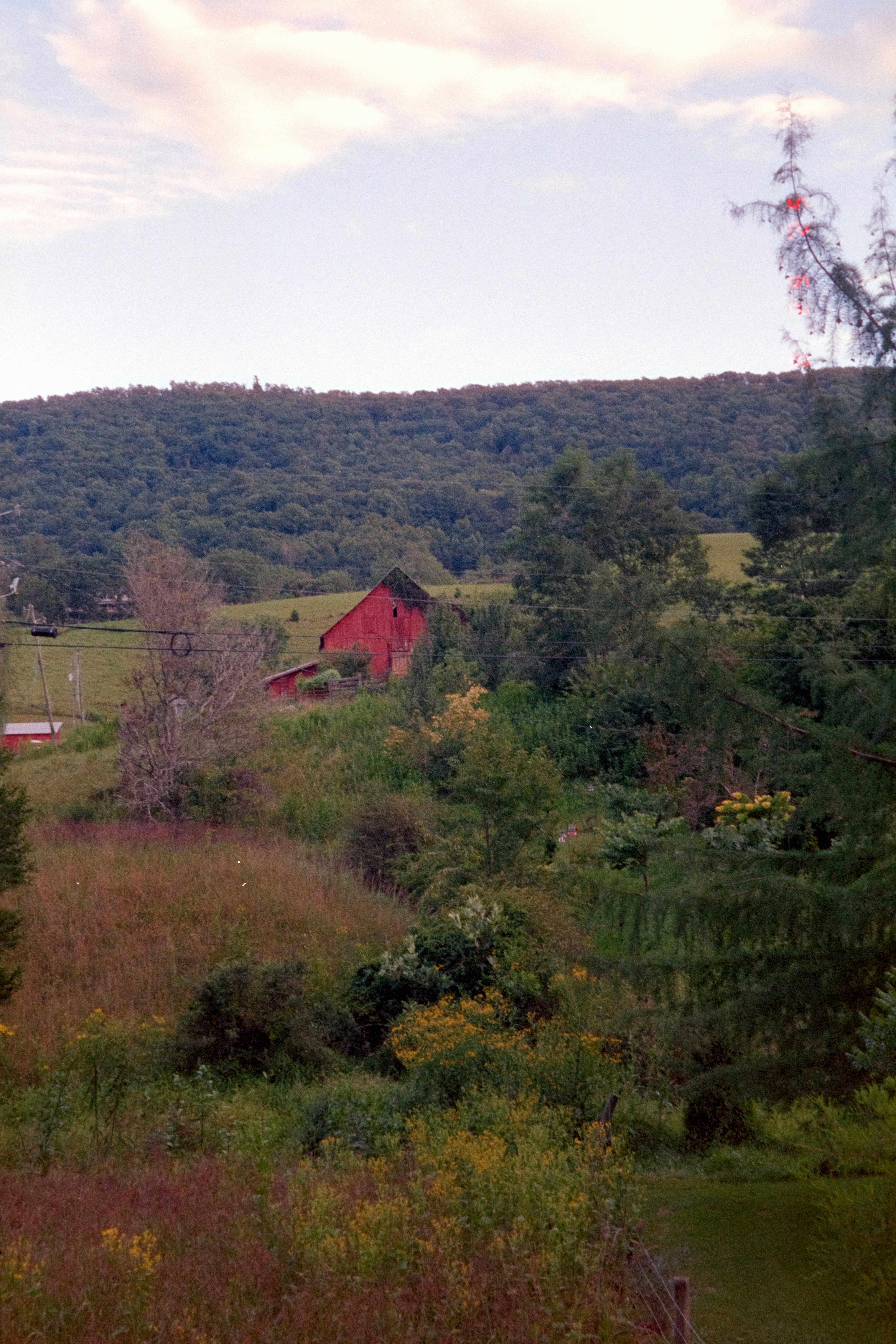 Whispers of the Countryside: A Rustic Retreat