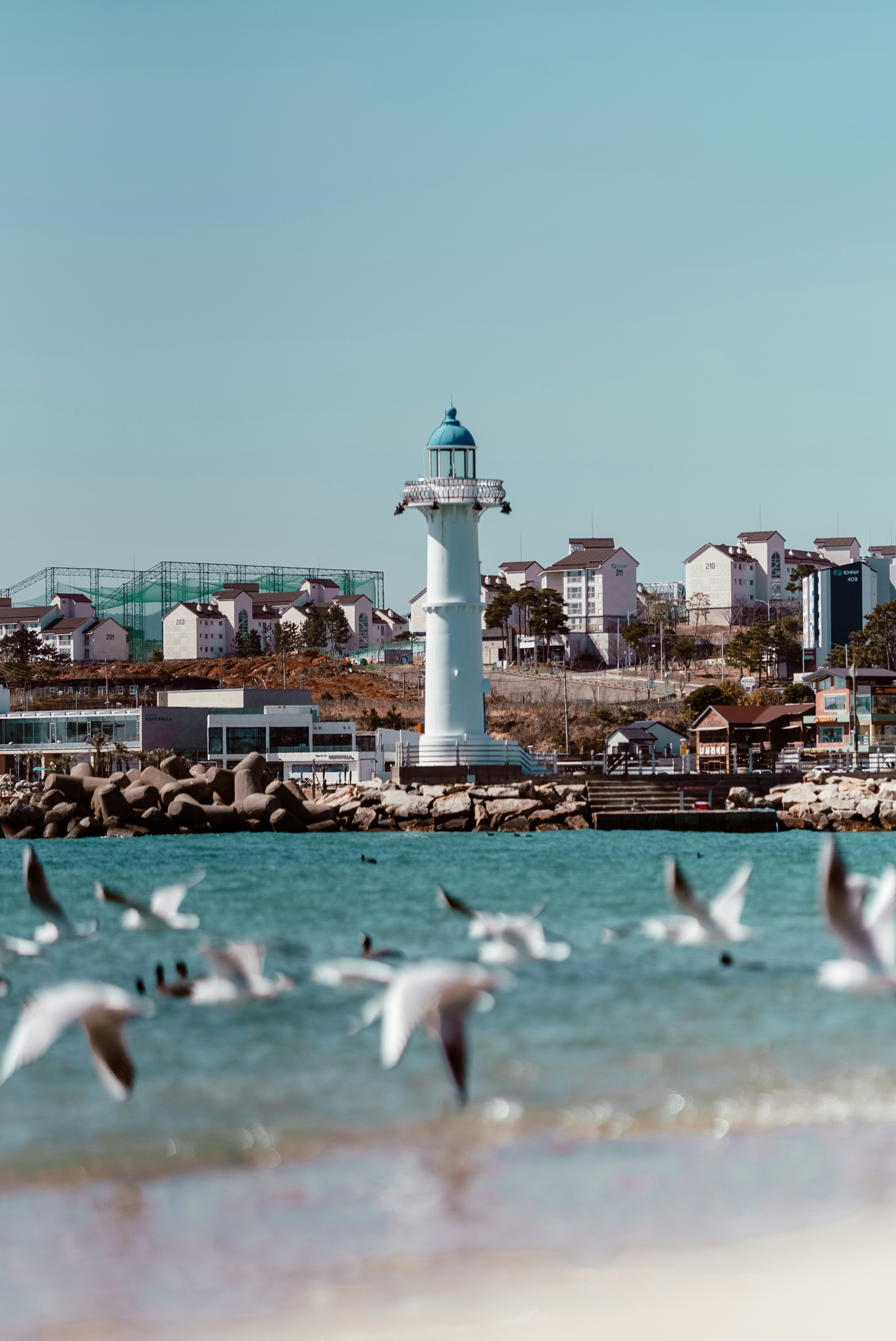 Guiding Light Amidst Coastal Serenity