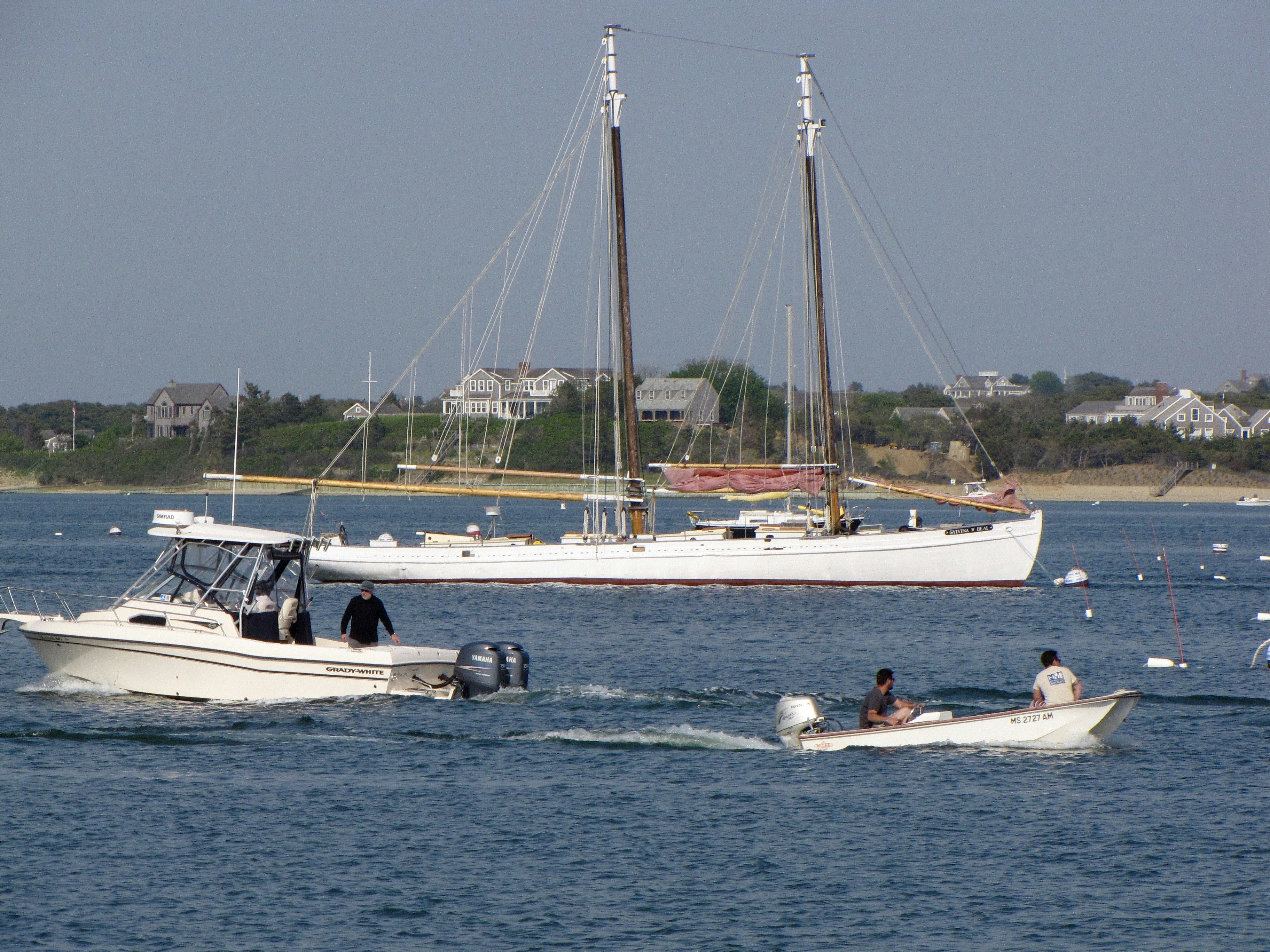 Sailboat and motorboats on the water