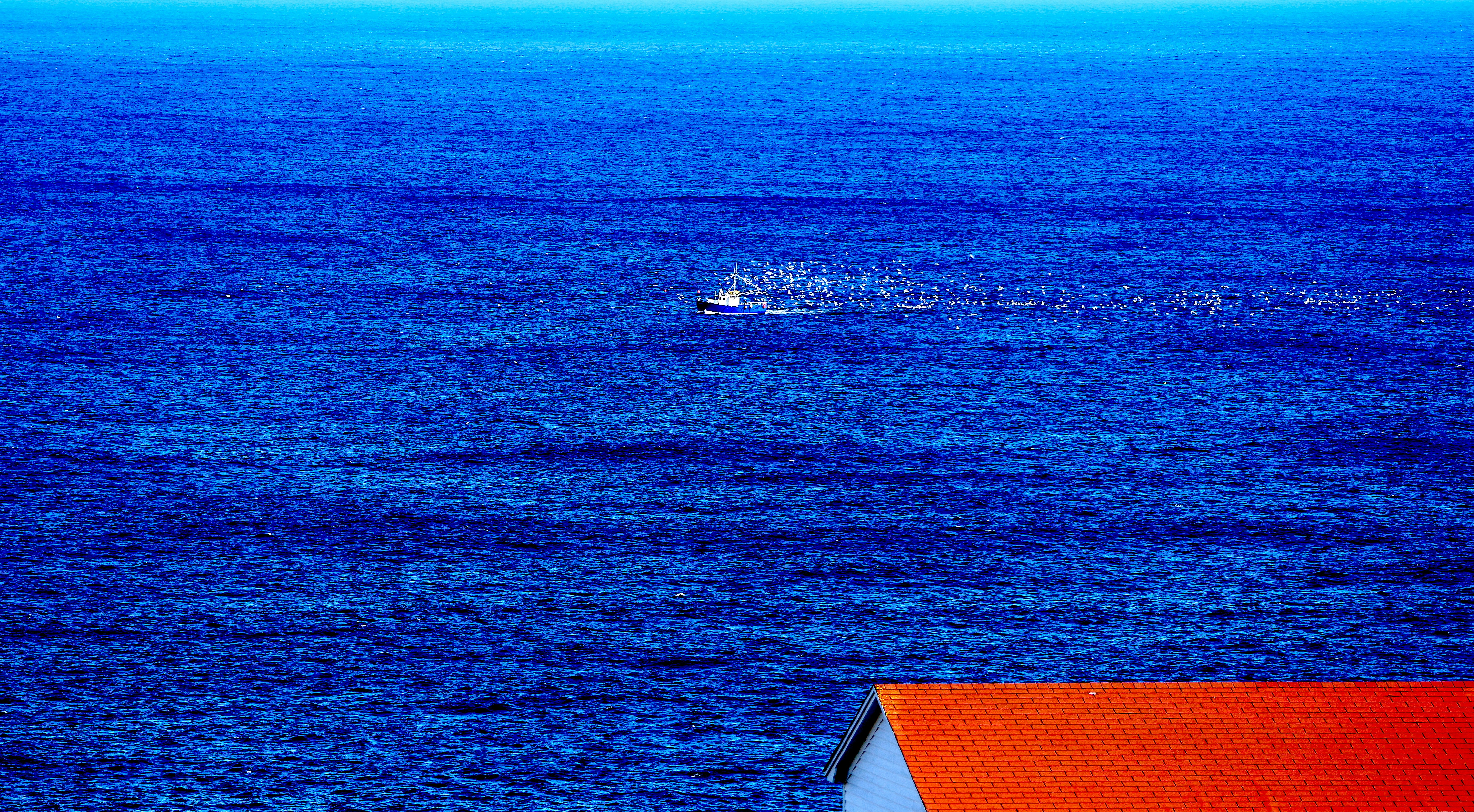 A Solitary Journey Across the Azure Expanse