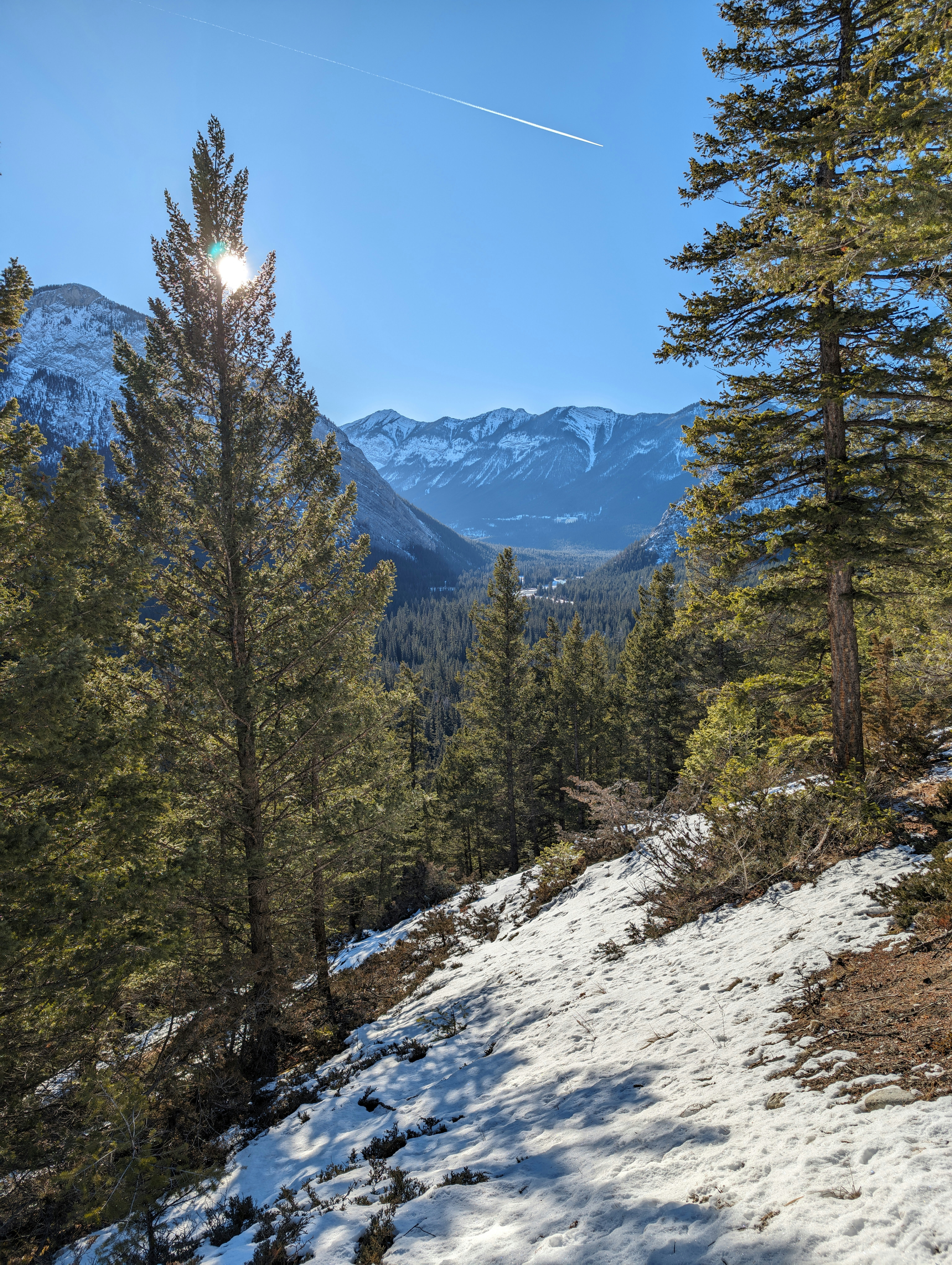 Whispers of the Mountain Trail